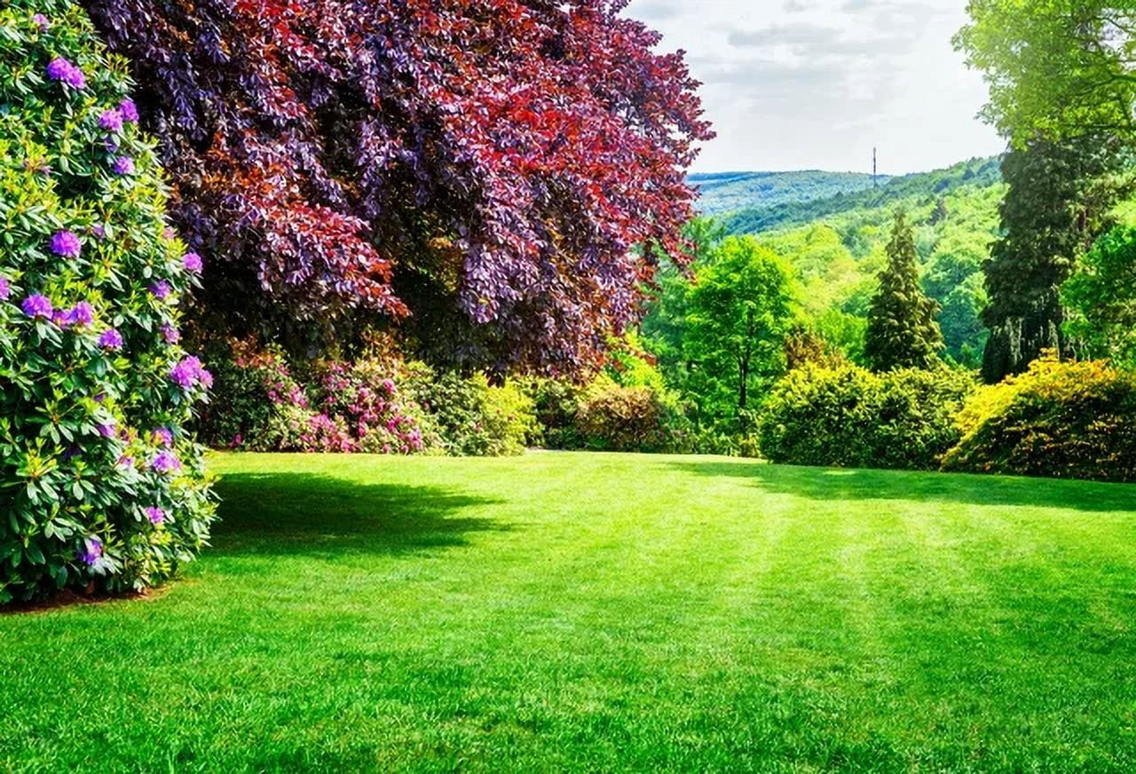 Studio Photo Backdrops Photo Backgrounds Photographic View Natural ...