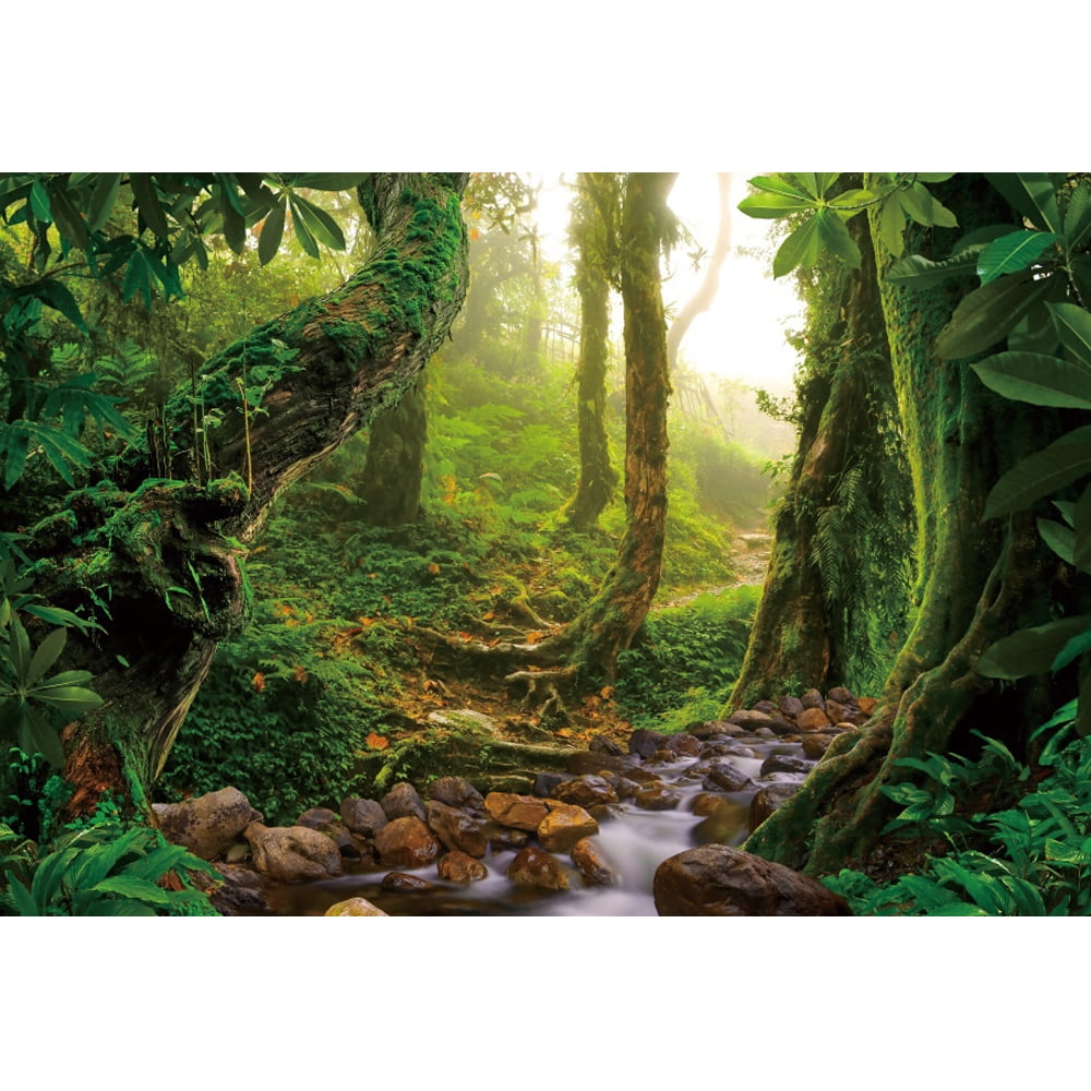 Studio Photo Backdrops r Room Scenic Natural Leaves Green Forest Rain ...