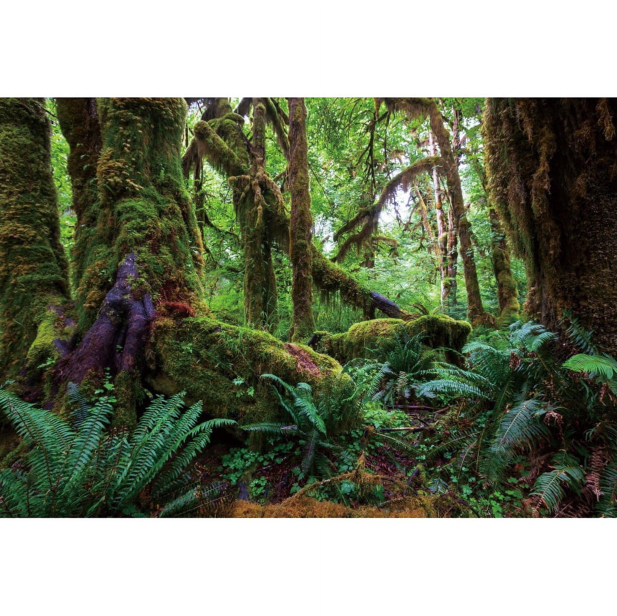 Studio Photo Backdrops r Room Scenic Natural Leaves Green Forest Rain ...