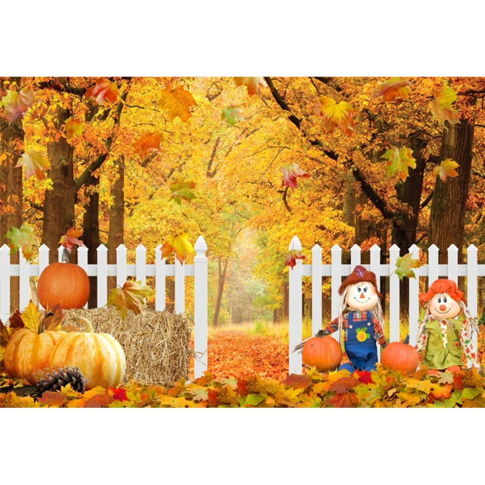 Studio Photo Background Photography Scene Window Harvest Pumpkin Leaves ...