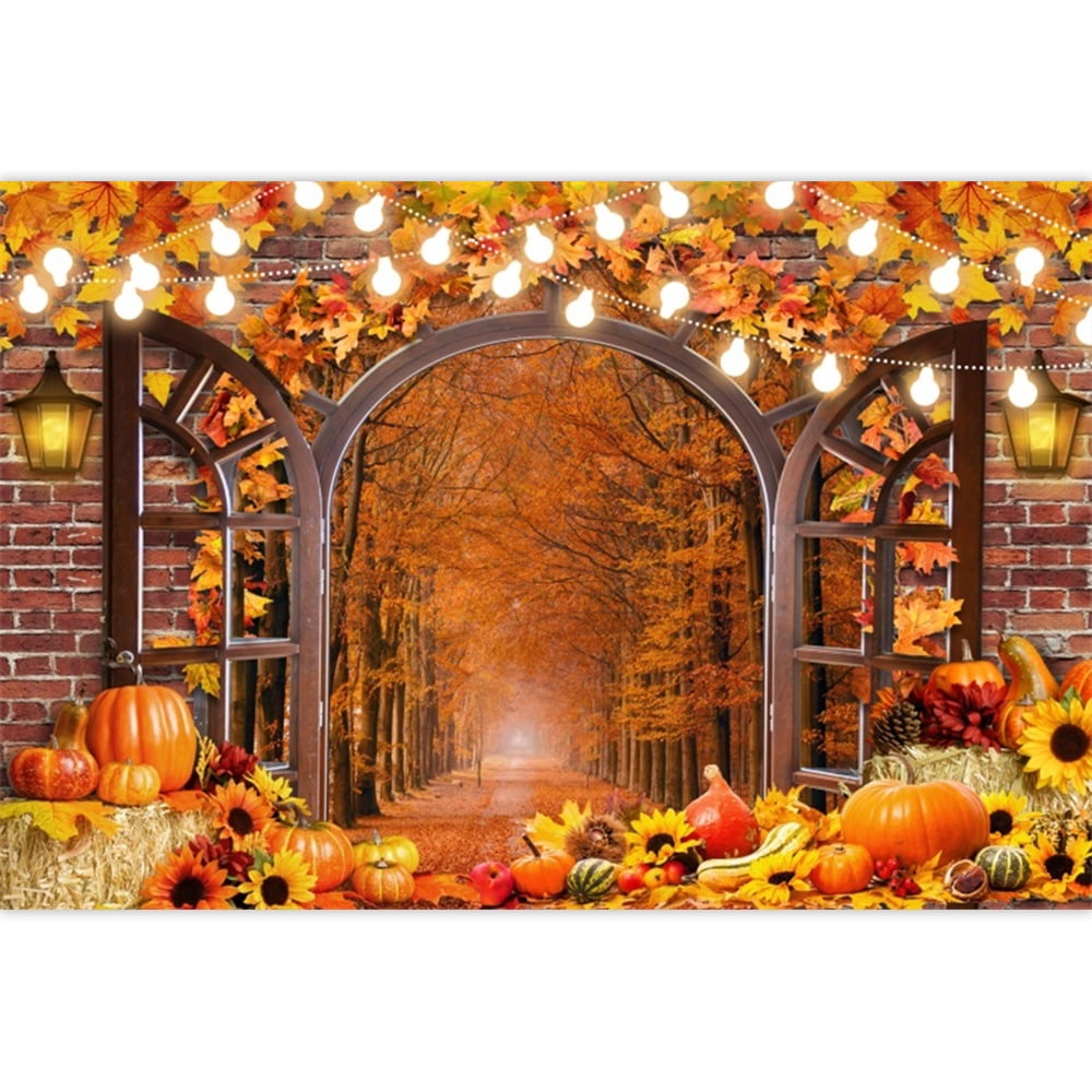 Studio Photo Background Photography Scene Window Harvest Pumpkin Leaves ...