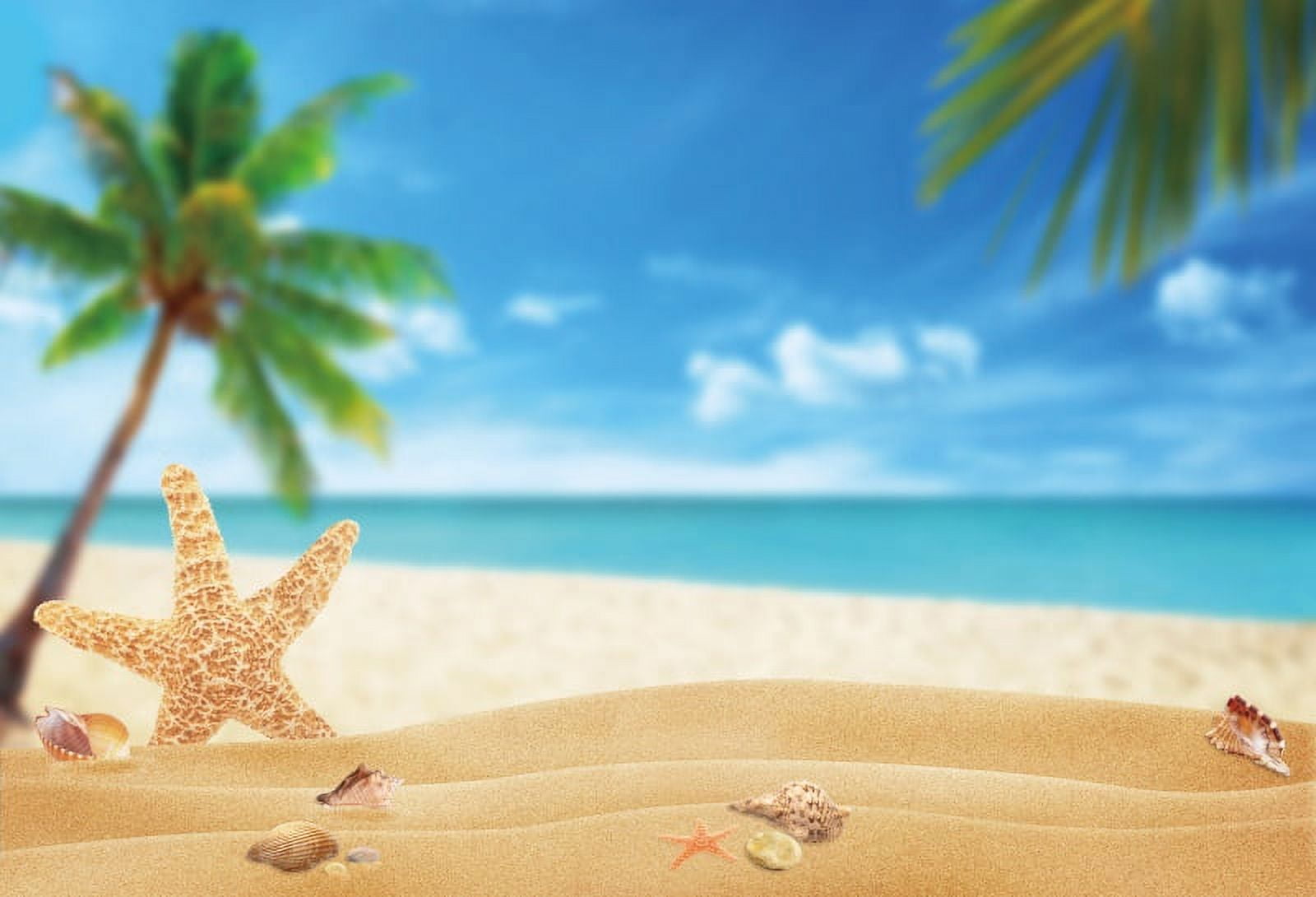 Studio Photo Backgrounds Photography View Natural Sunrise Cloudy Waves ...