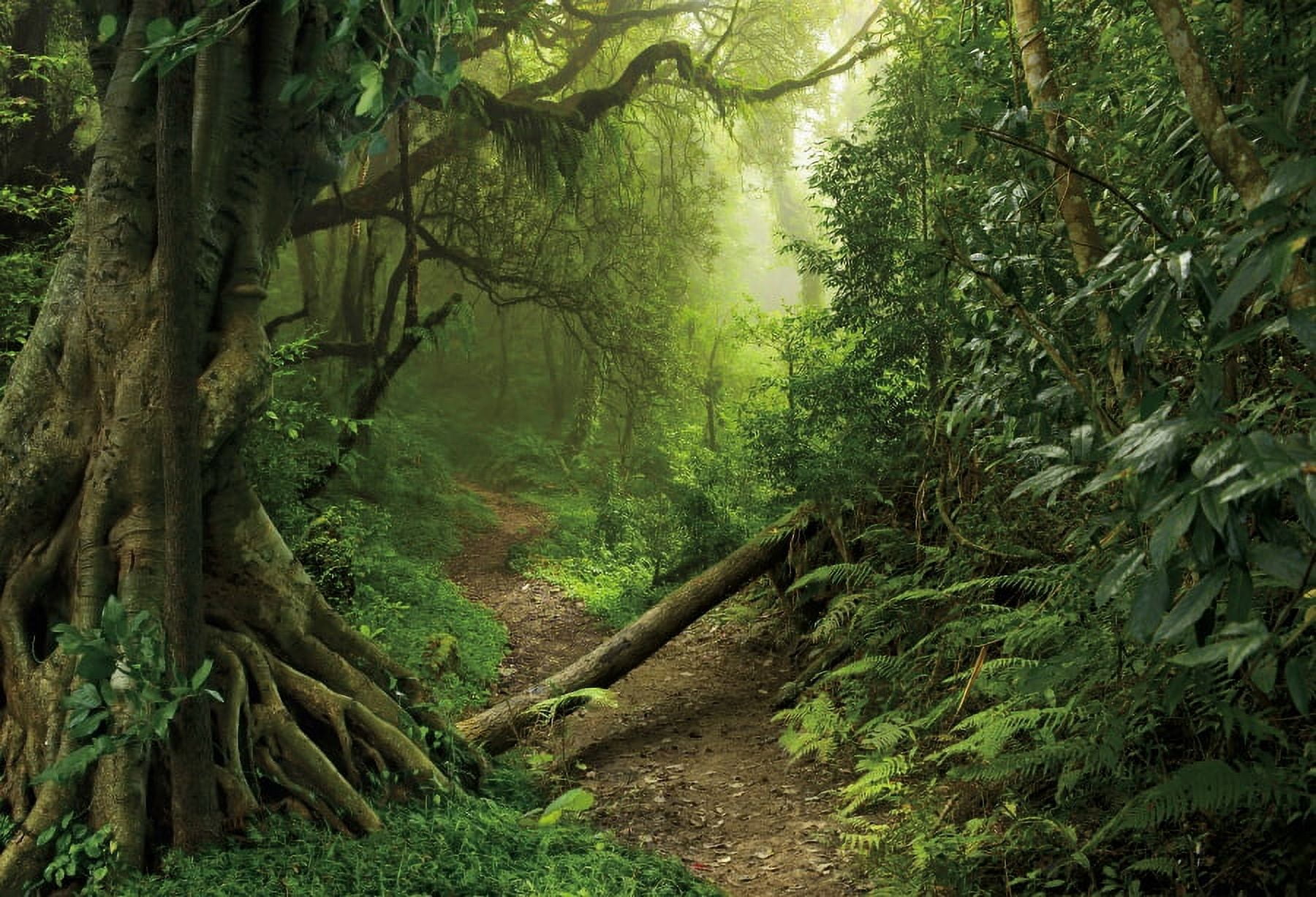 Studio Photo For Backdrops Photography Customized Backgrounds Photo ...