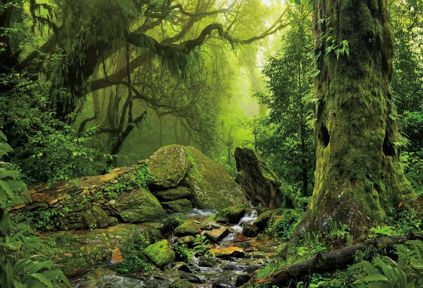 Studio Photo For Backdrops Photography Customized Backgrounds Photo ...