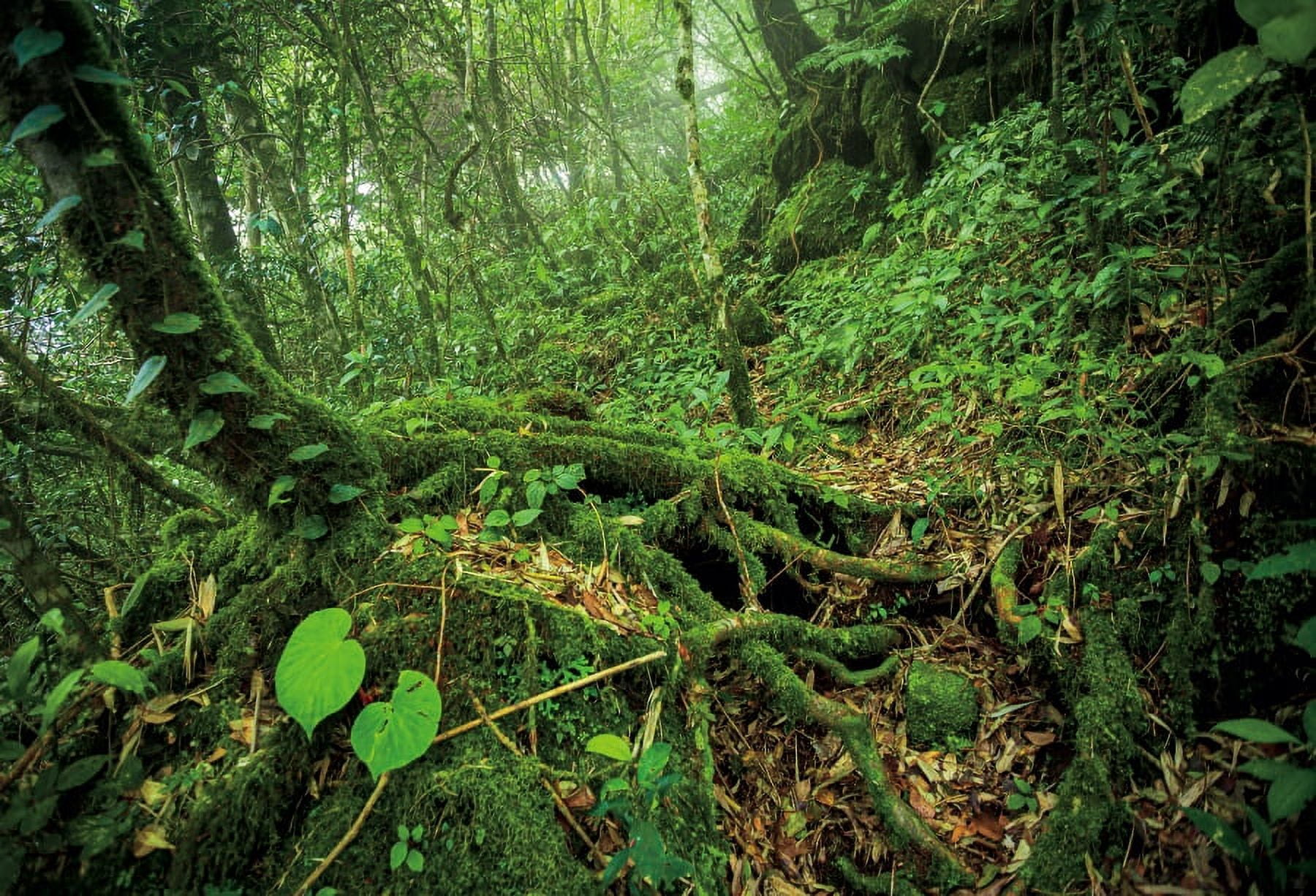 Studio Photo For Backdrops Photography Customized Backgrounds Photo ...