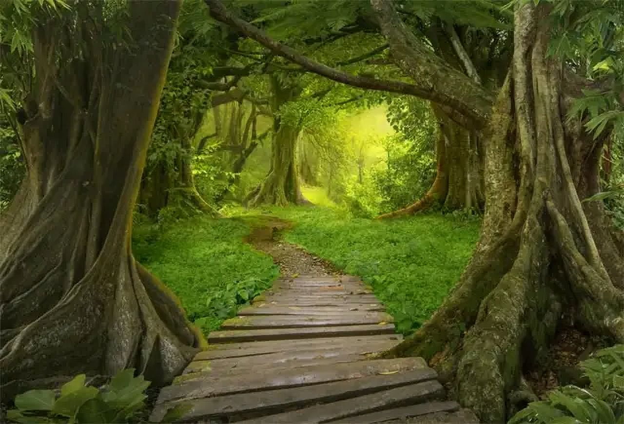 Studio Photo For Backdrops Photography Customized Backgrounds Photo ...