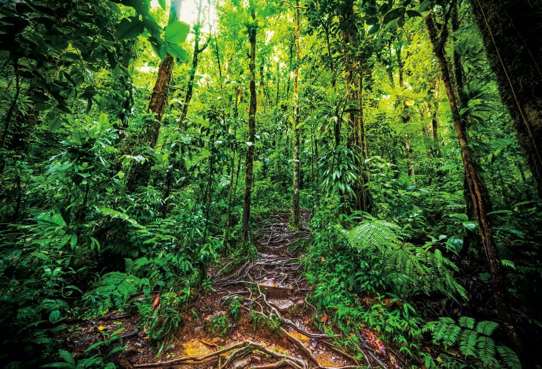 Studio Photo For Backdrops Photography Customized Backgrounds Photo ...