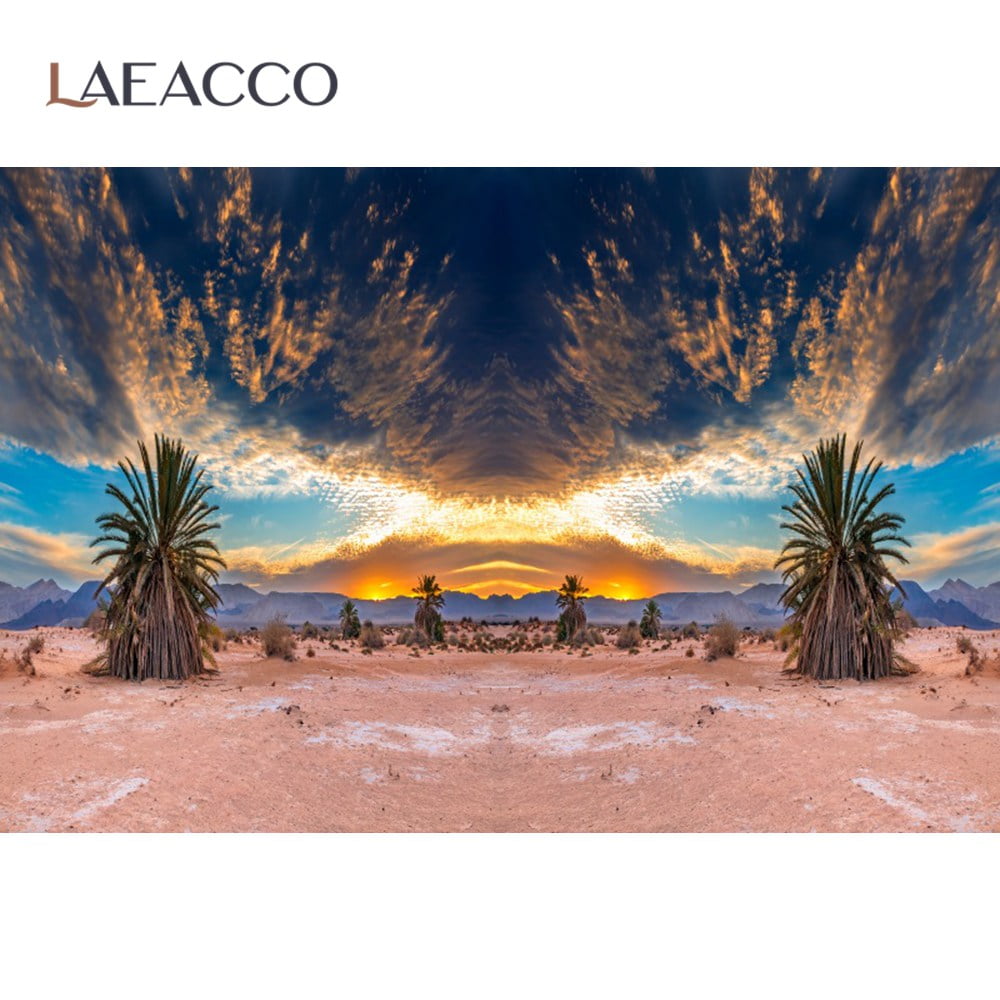 Studio Photo Photocall Backdrop Photo Party Oasis Wilderness Desert ...