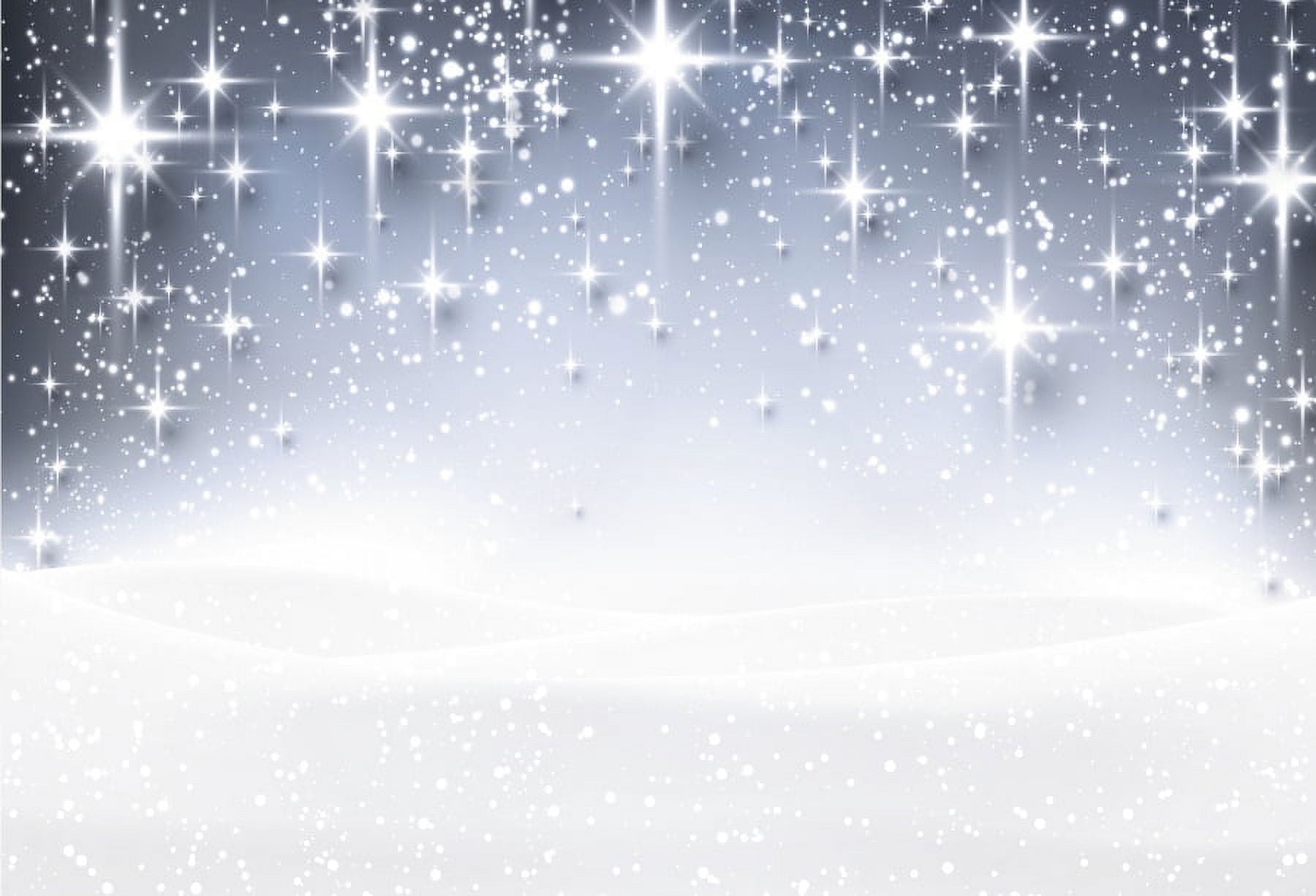 Studio Photo Photocall Backdrop Photo Scenic r Party Snowflake Snow ...
