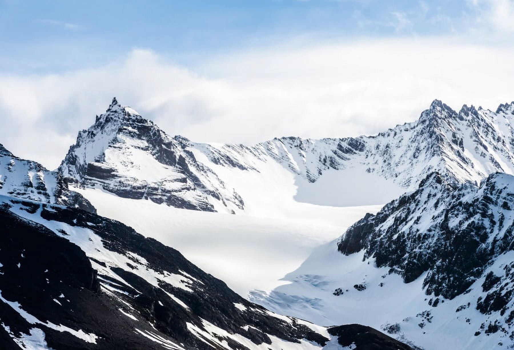 Studio Photo Photocall Backdrops Photography Backgrounds Photographic ...