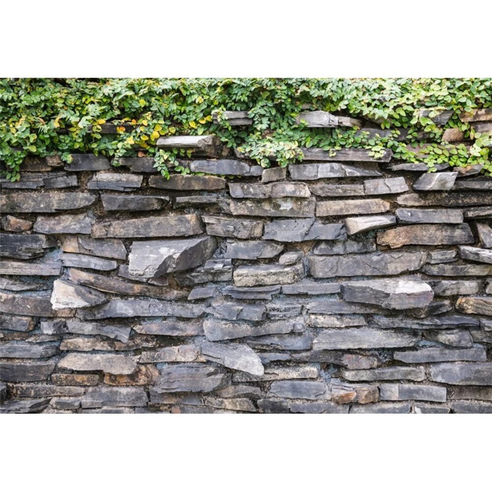 Studio Photography Decorative Backdrops Customized Photo Backdrops ...