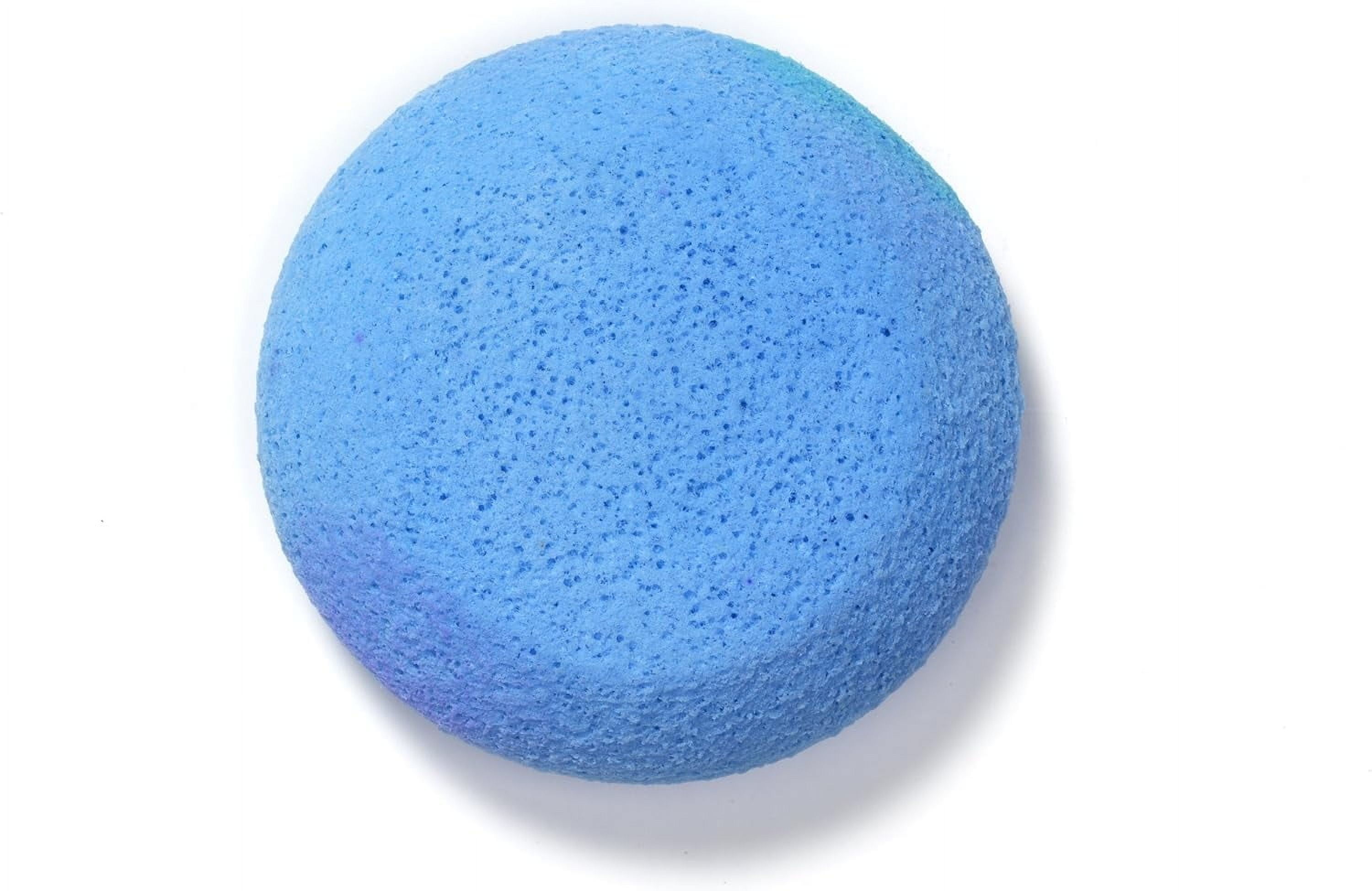 Studio Pro-Sponge for Clay and Porcelain (Fine Texture for Porcelain ...