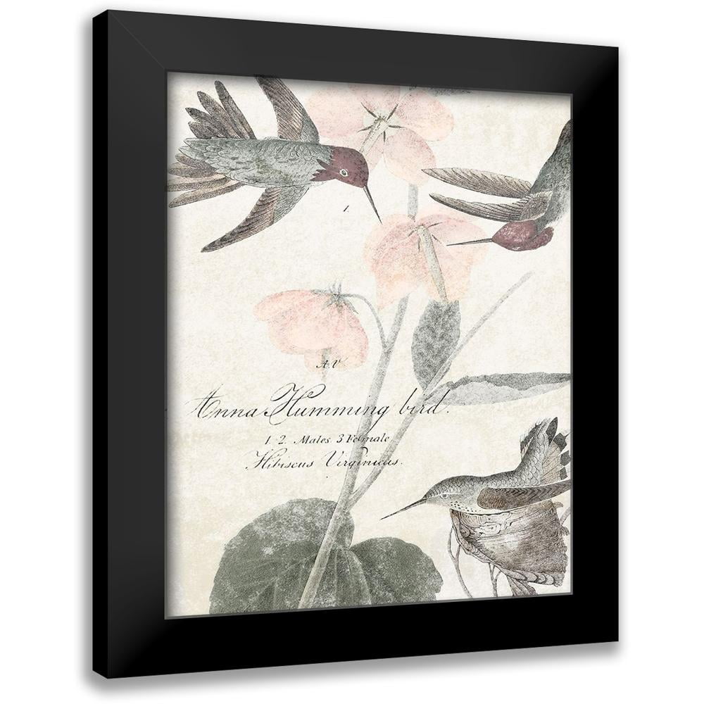 Studio W 12x14 Black Modern Framed Museum Art Print Titled - Soft ...