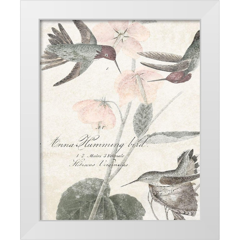 Studio W 12x14 White Modern Wood Framed Museum Art Print Titled - Soft ...