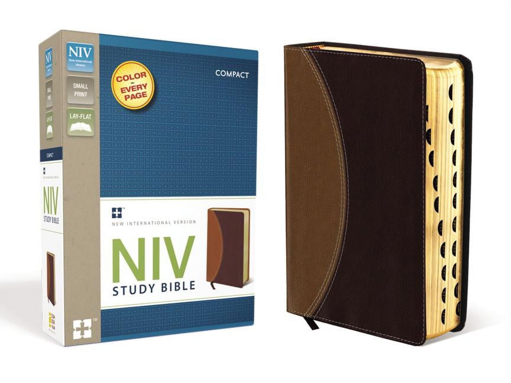 Study Bible-NIV-Compact (Other) - Walmart.com