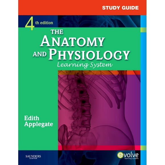 Anatomy Physiology Study Guides