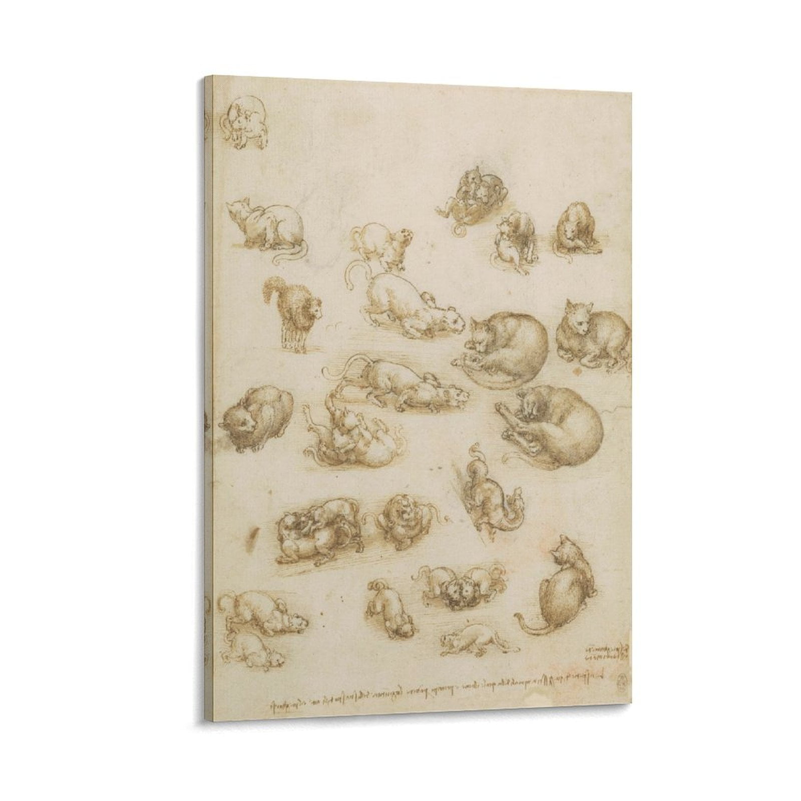 Study Sheet with Cats, Dragon And Other Animals by Leonardo Da Vinci Posters Wall Art Picture ...