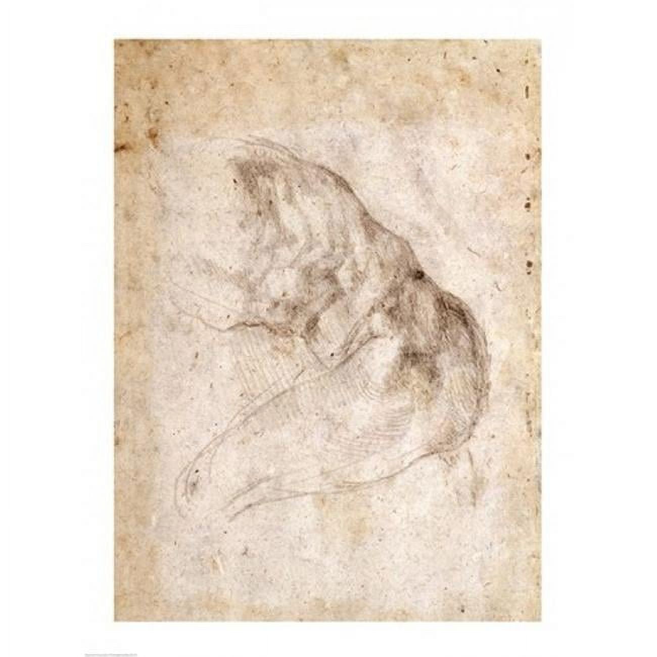 Study for The Creation of Adam Poster Print by Michelangelo Buonarroti ...