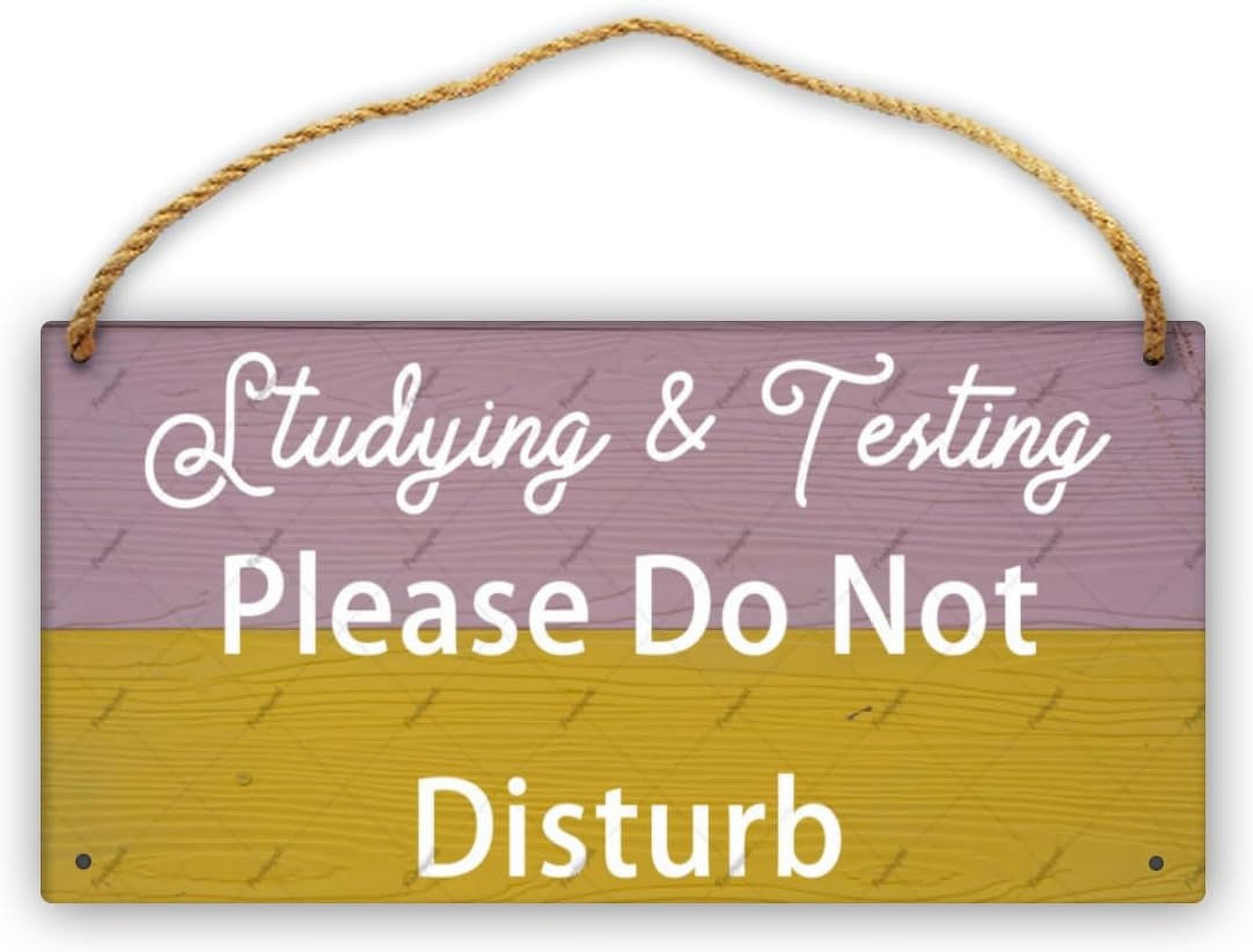 Studying & Testing Please Do Not Disturb Wood Sign, Printed Wood Wall ...