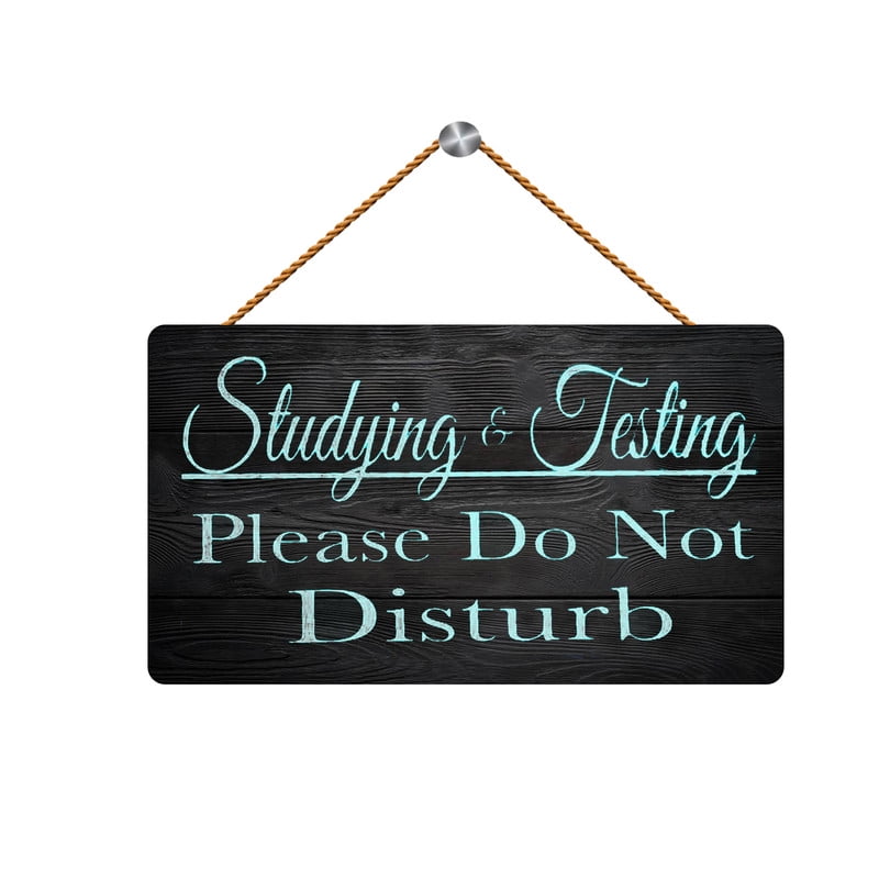 Studying & Testing Please Do Not Disturb Wooden Plaque Hanging Wall Art ...