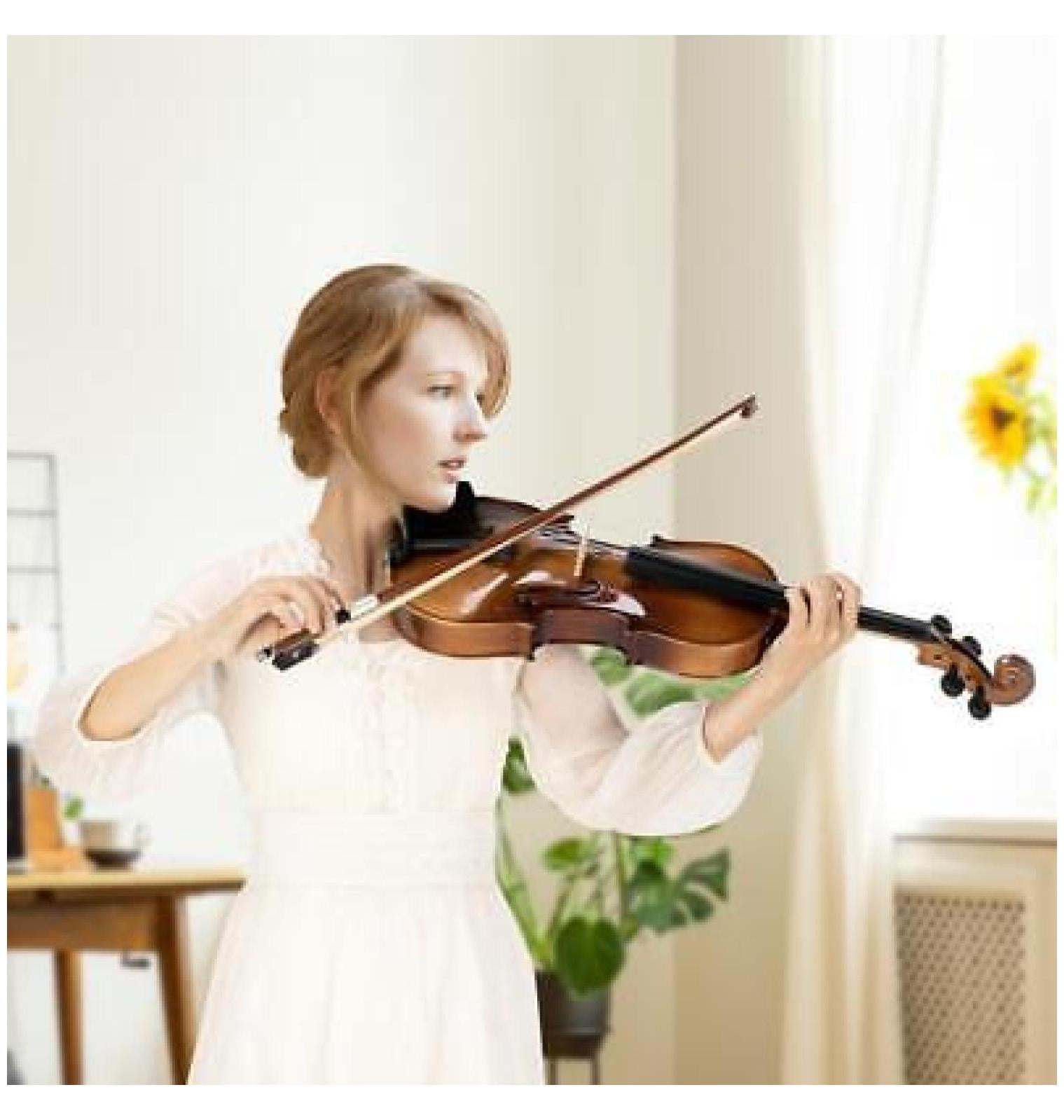 ‎Studyli 4/4 Acoustic Violin with Electronic Tuner Case Bow Rosin ...