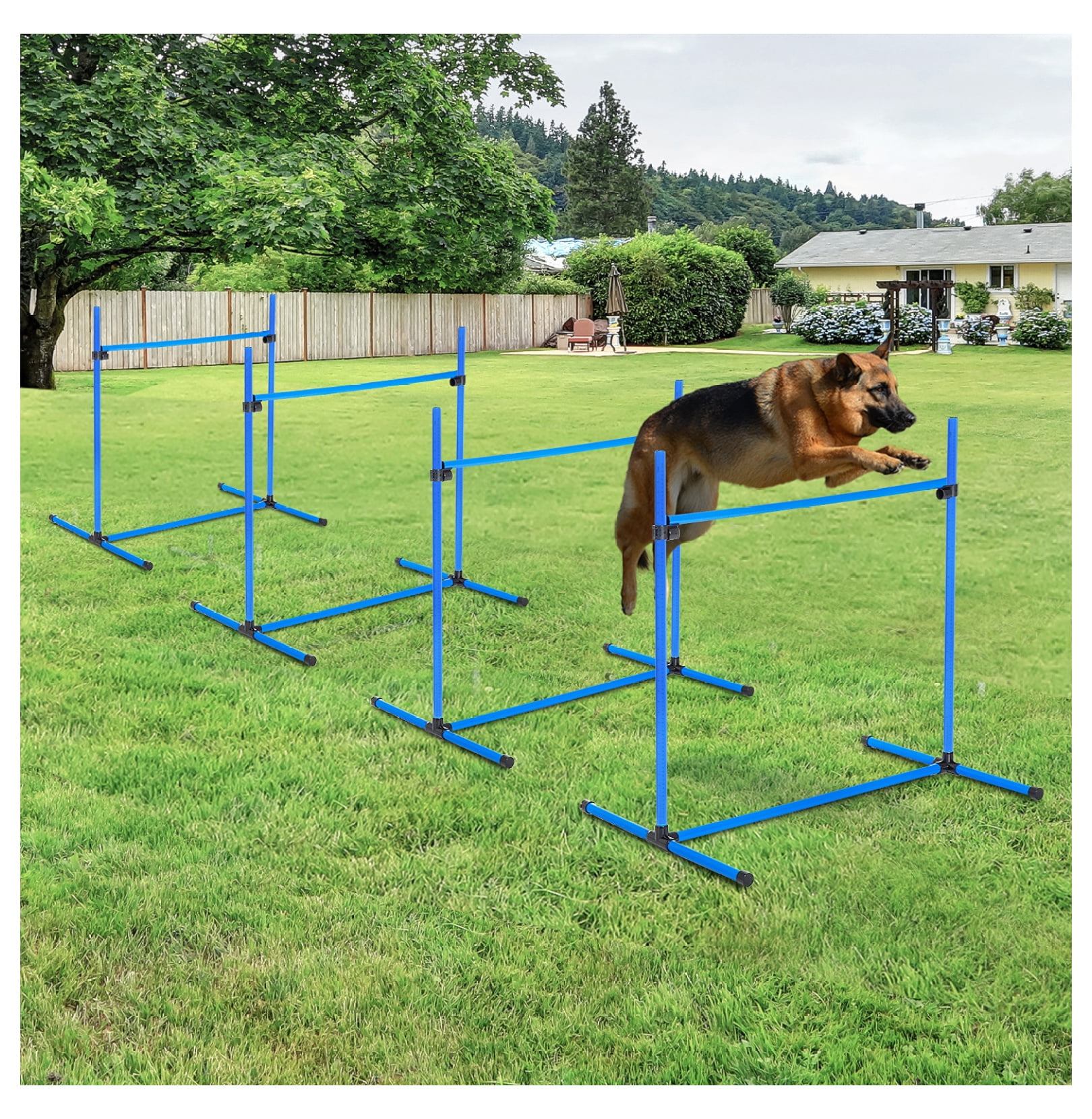 Studyli Agility Set Dog Jumping Training Obstacles Course Studyli ...