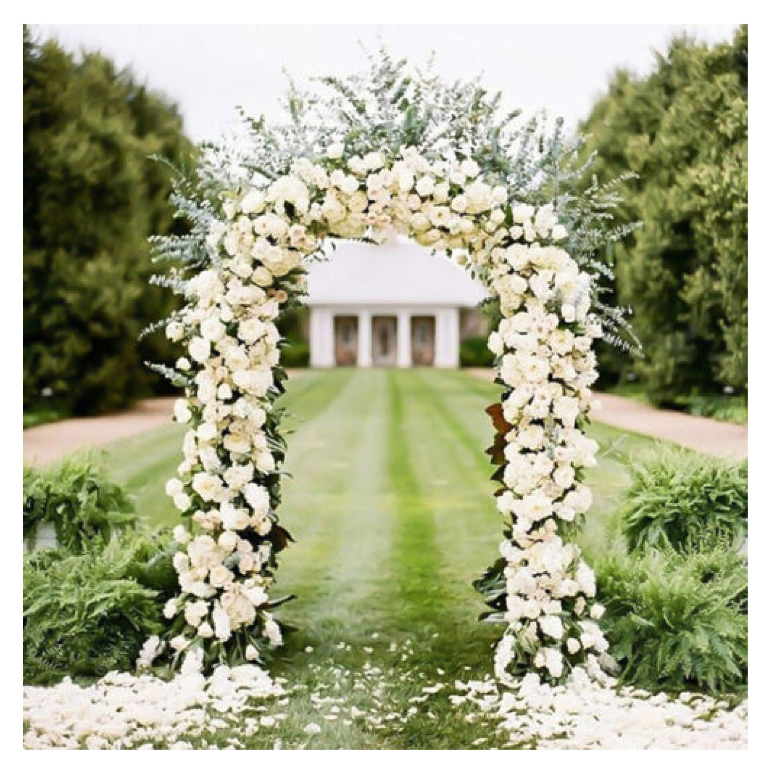 ‎Studyli Large Garden Arch Metal Archway Gate Rose Vine Plants Climbing ...