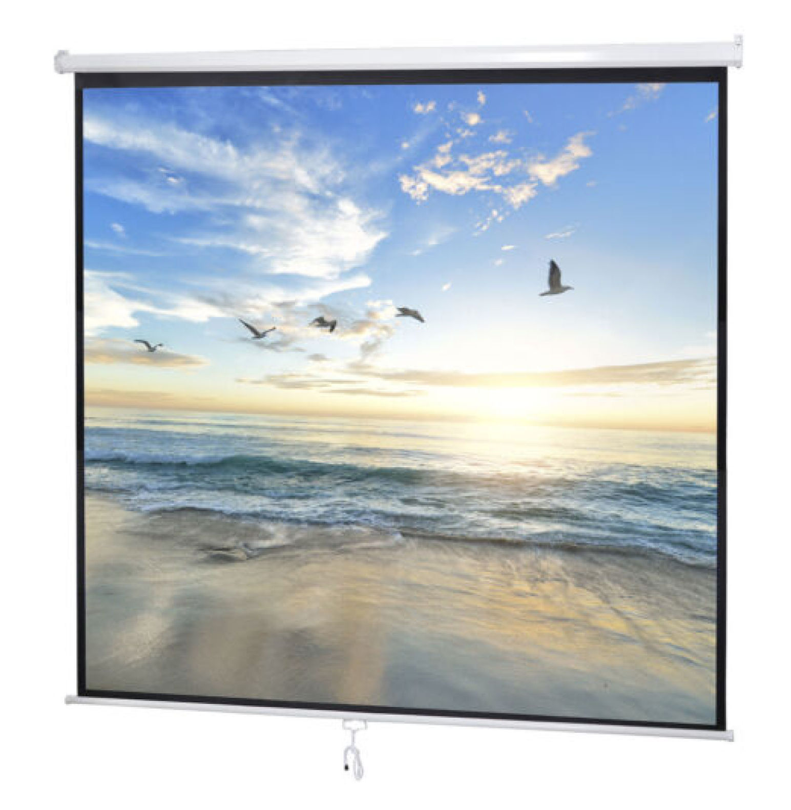 ‎Studyli Projector Screen Pull Down Projection Movie Screen Home ...