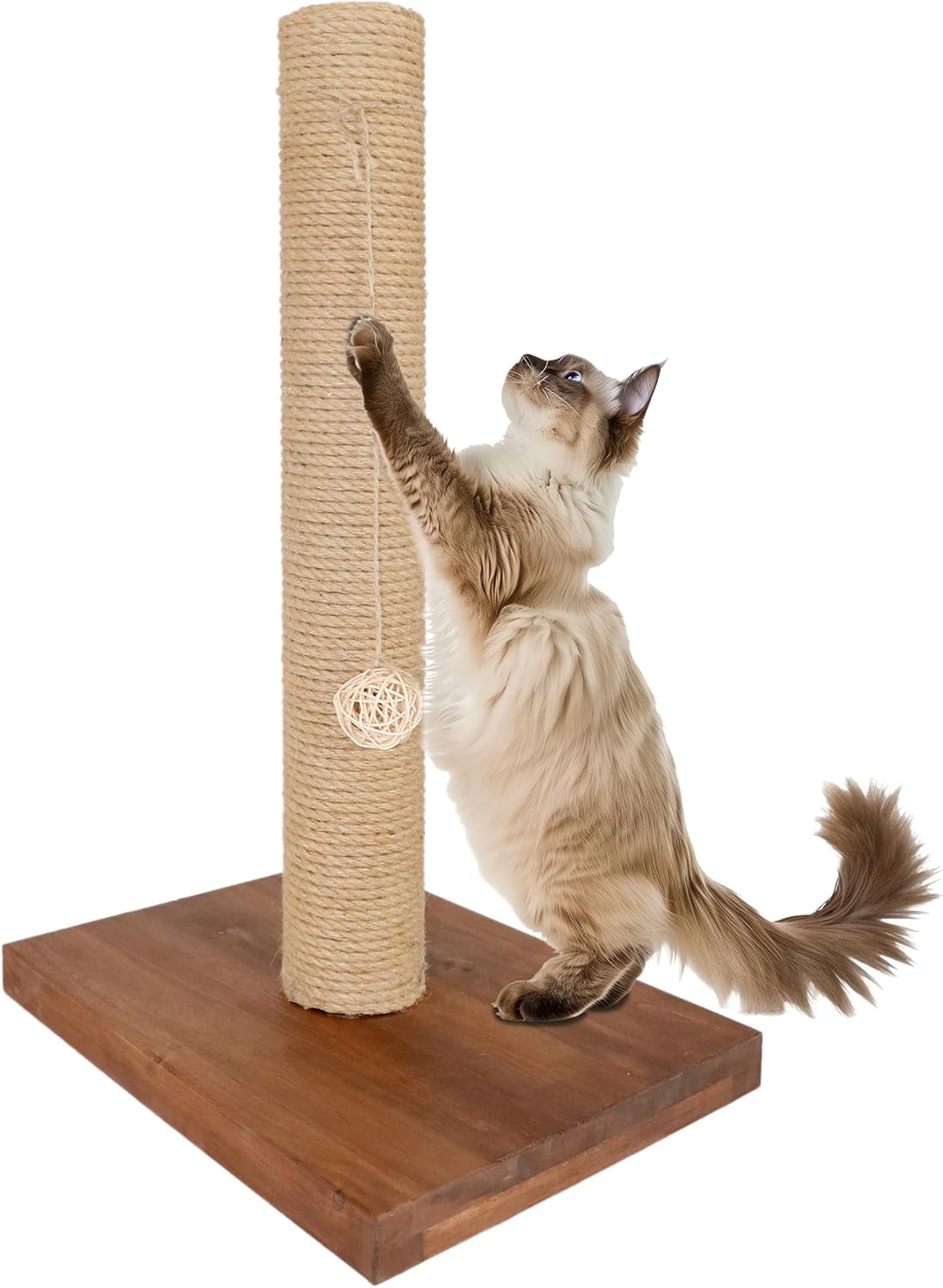 ‎Studyli-zy Cat Scratching Posts for Indoor Cats, Solid Wood, Tall 22 ...