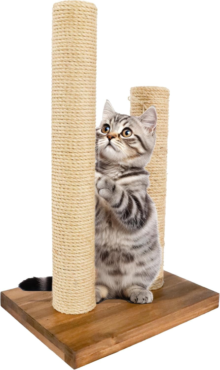 ‎Studyli-zy Cat Scratching Posts for Indoor Cats, Solid Wood, Tall 22 ...