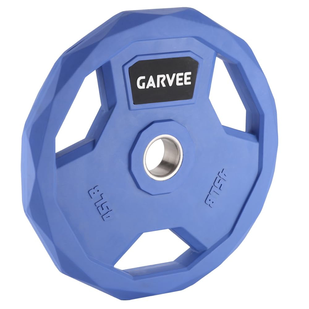 Studyset 2-In-1 Cast Iron Rubber Coated Color-Coded Weight Plates–2.5LB ...