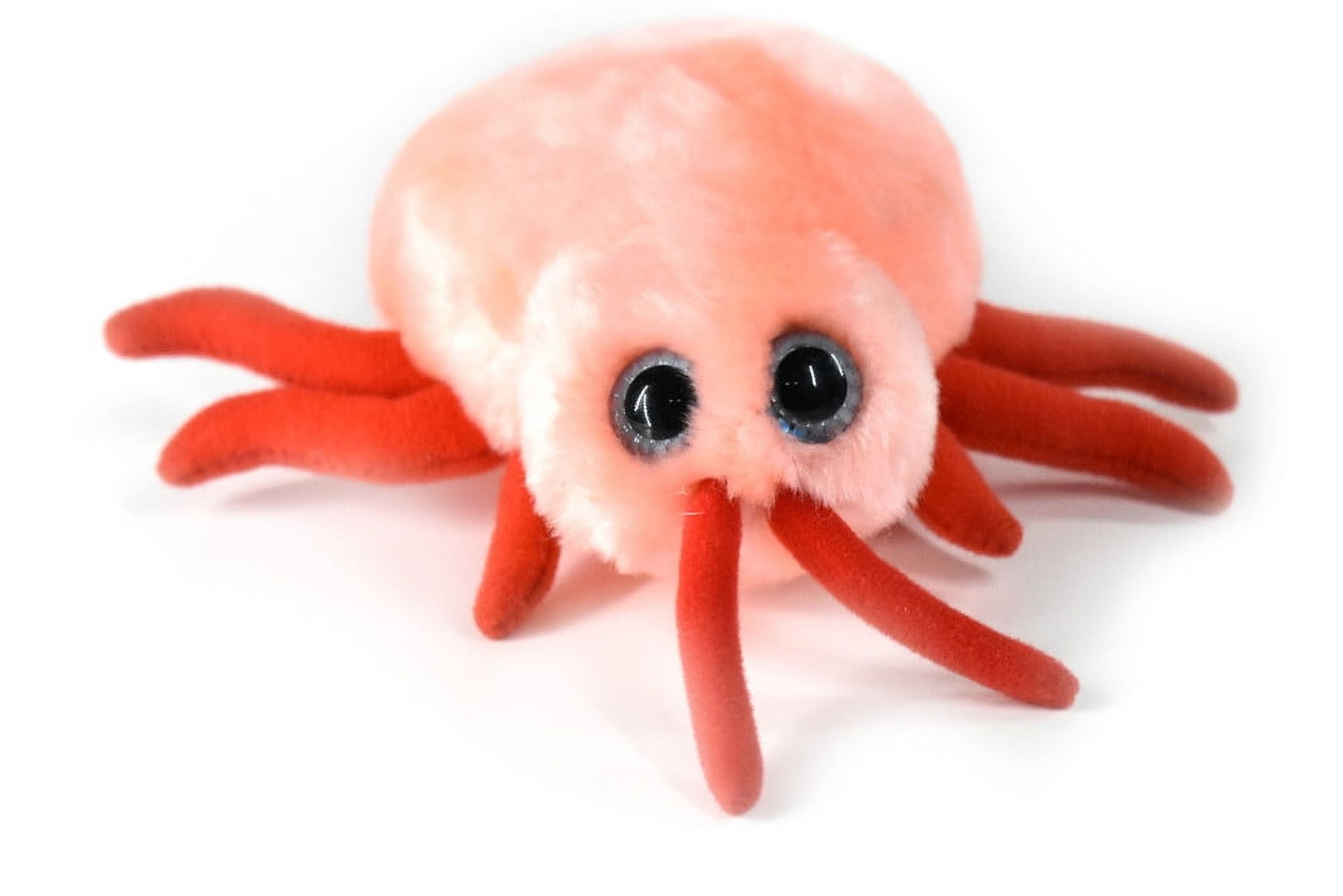 Stuffed Bed Bug Toy, Plushy, Bed Beetles, Plush Design, Educational ...