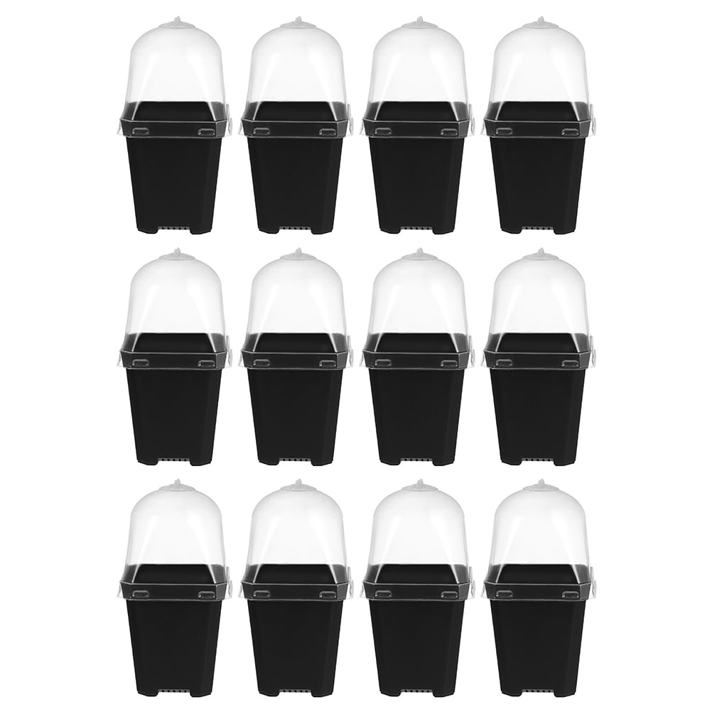 ifundom 12 Sets Black Plastic Seed Starter Pots with Transparent ...