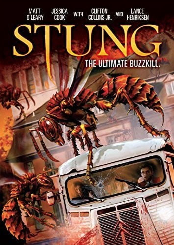 Stung (DVD), Shout Factory, Horror - Walmart.com