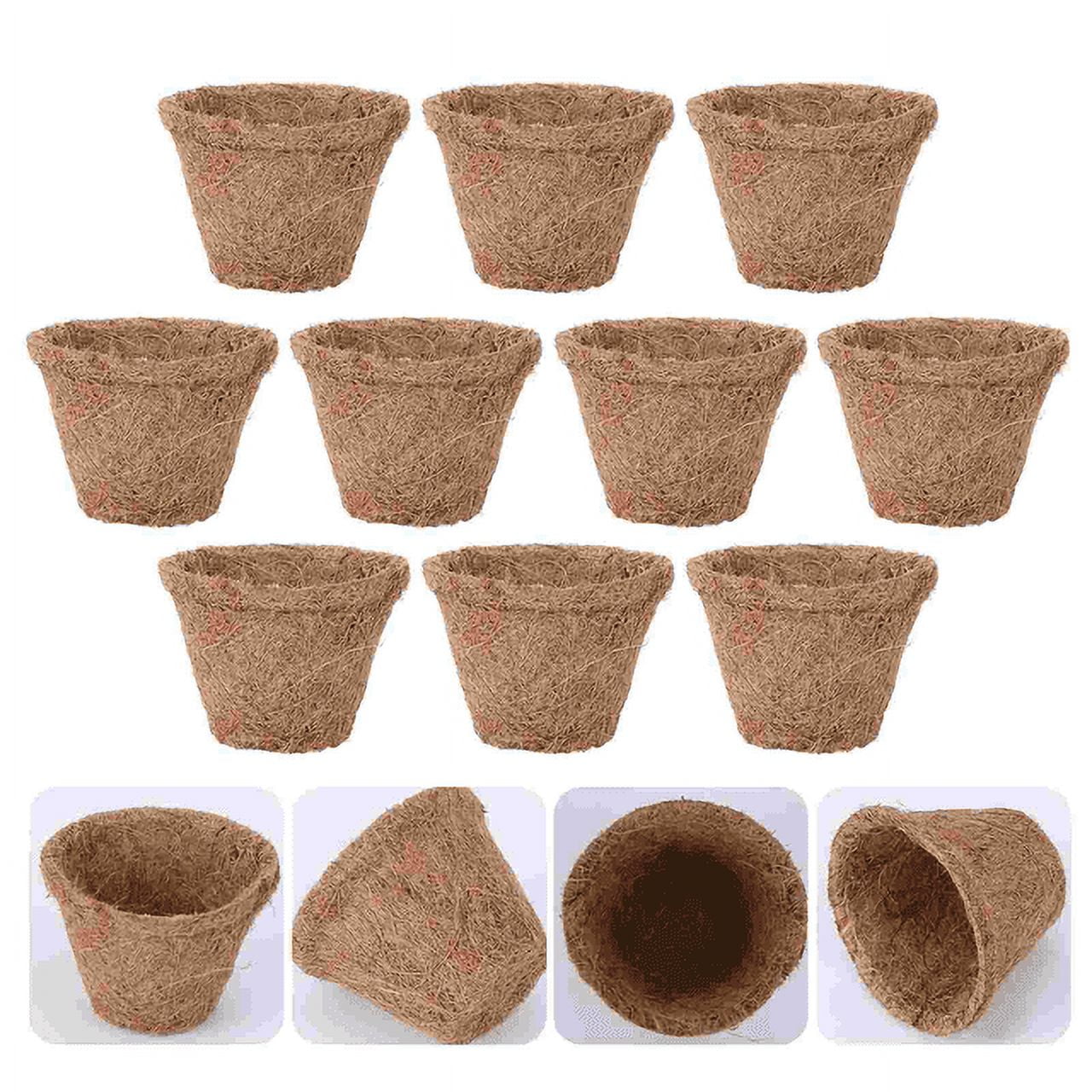 Stunning 10-Piece Beautiful Palm Nursery Germination Coir Paper Planter ...