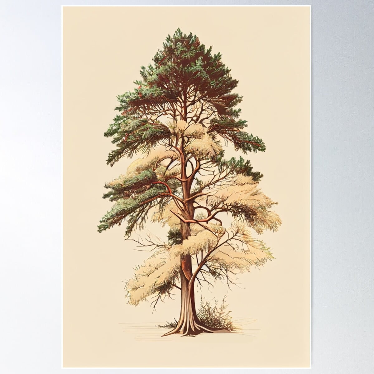 Stunning Cedar Tree Art For Your Home Poster Wall Art, Modern Wall ...