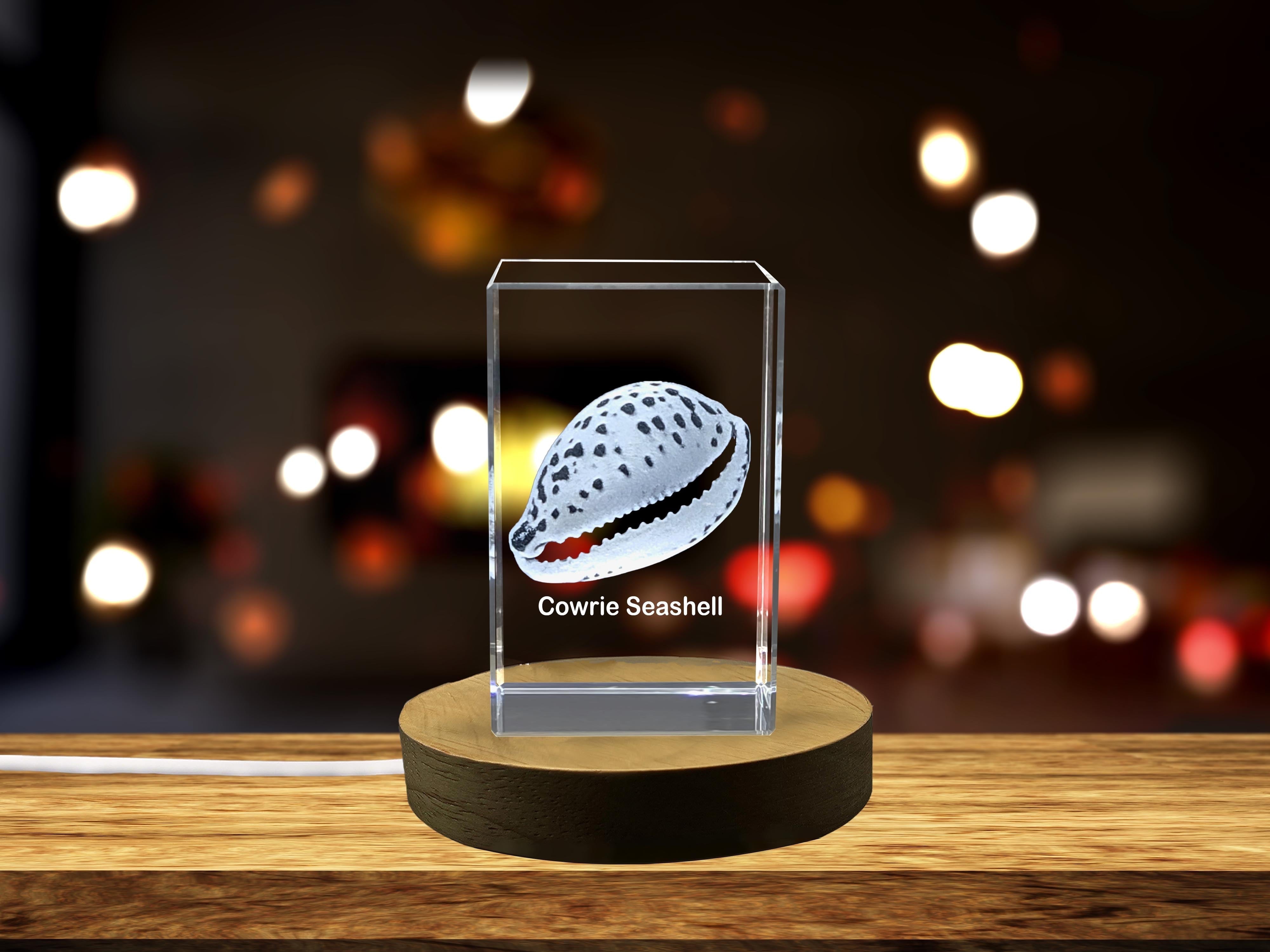 Stunning Crystal Cowrie Shell Sculpture, A Lifelike Rendering of this ...