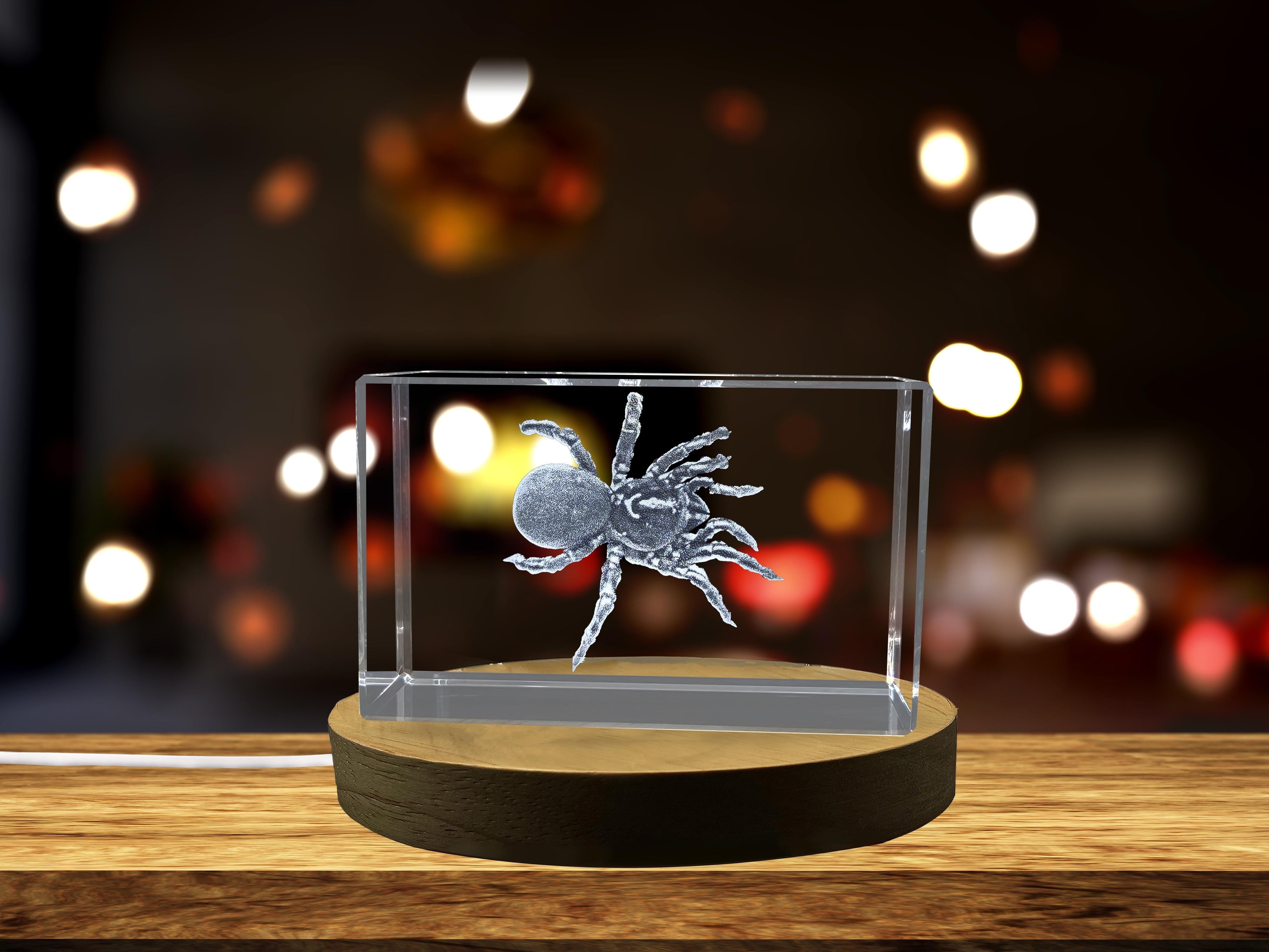 Stunning Crystal Engraving of an Elusive Trapdoor Spider | Unique 3D ...