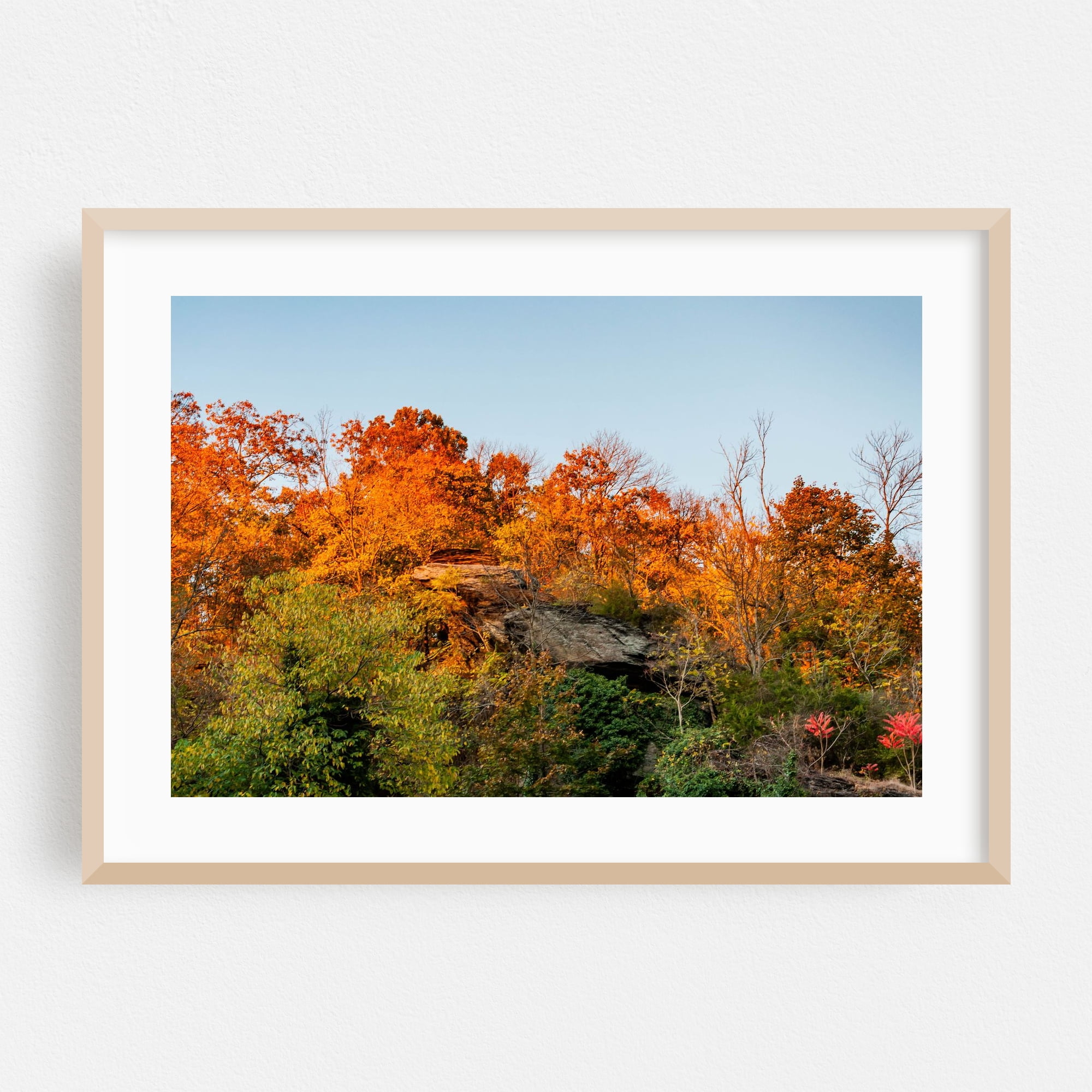 Stunning Fall Colors - Harpers Ferry West Virginia Photography Autumn ...