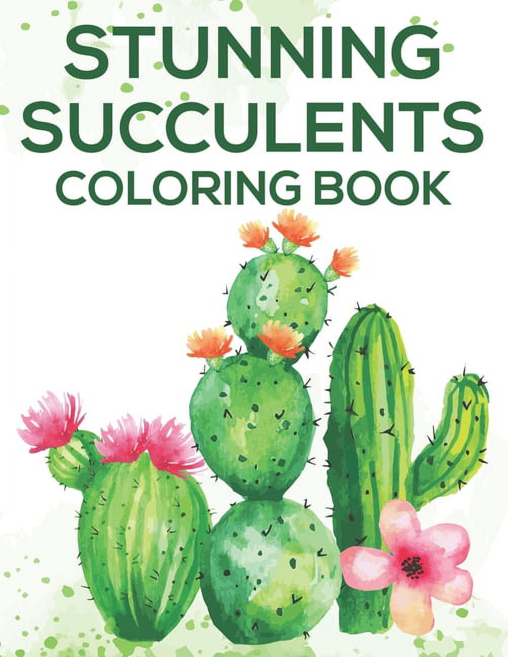 Stunning Succulents Coloring Book: Cactus Illustrations And Designs To ...