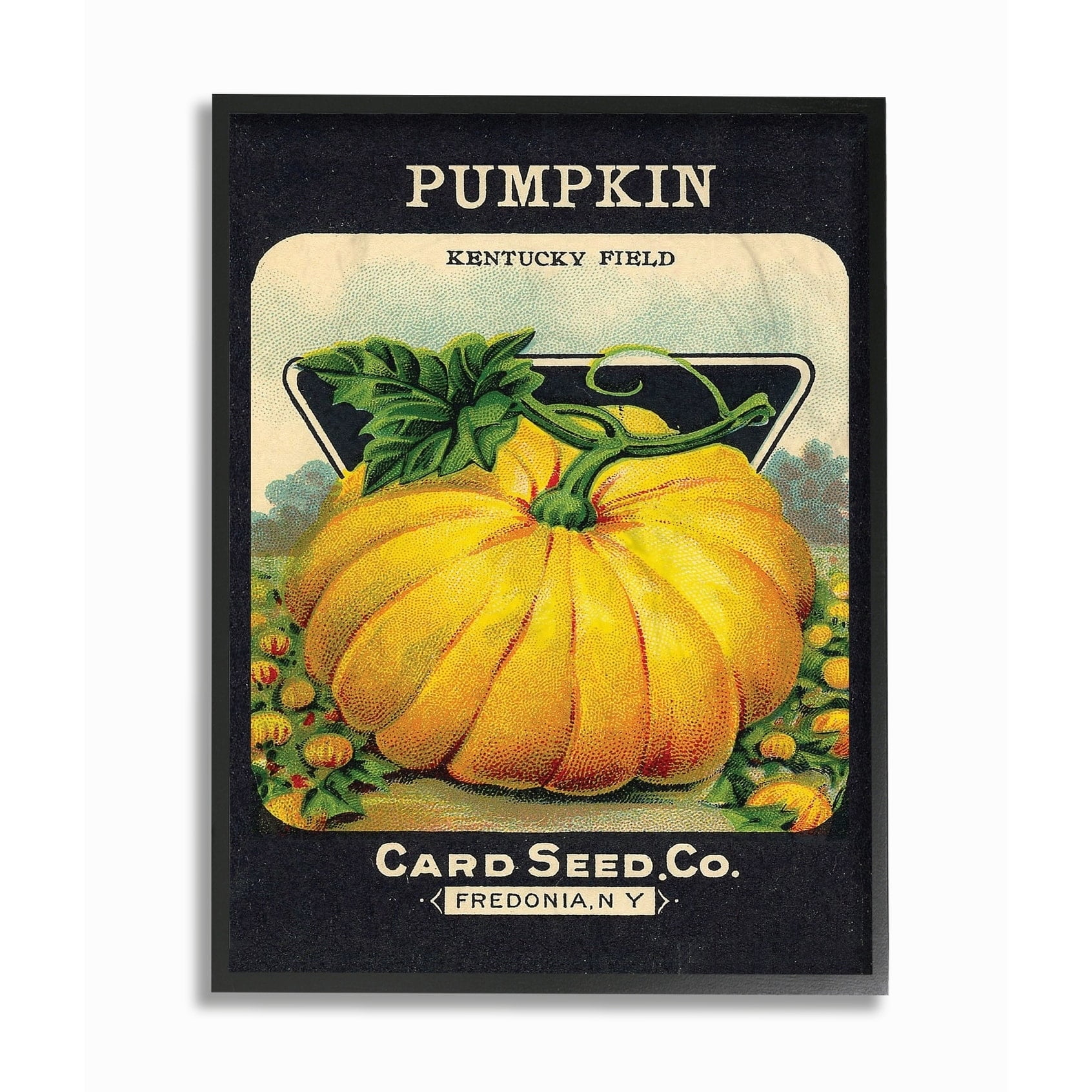 Stupell Aged Paper Vintage Pumpkin Seed Package Framed Art, 11 x 14, Design By Artist Daphne ...