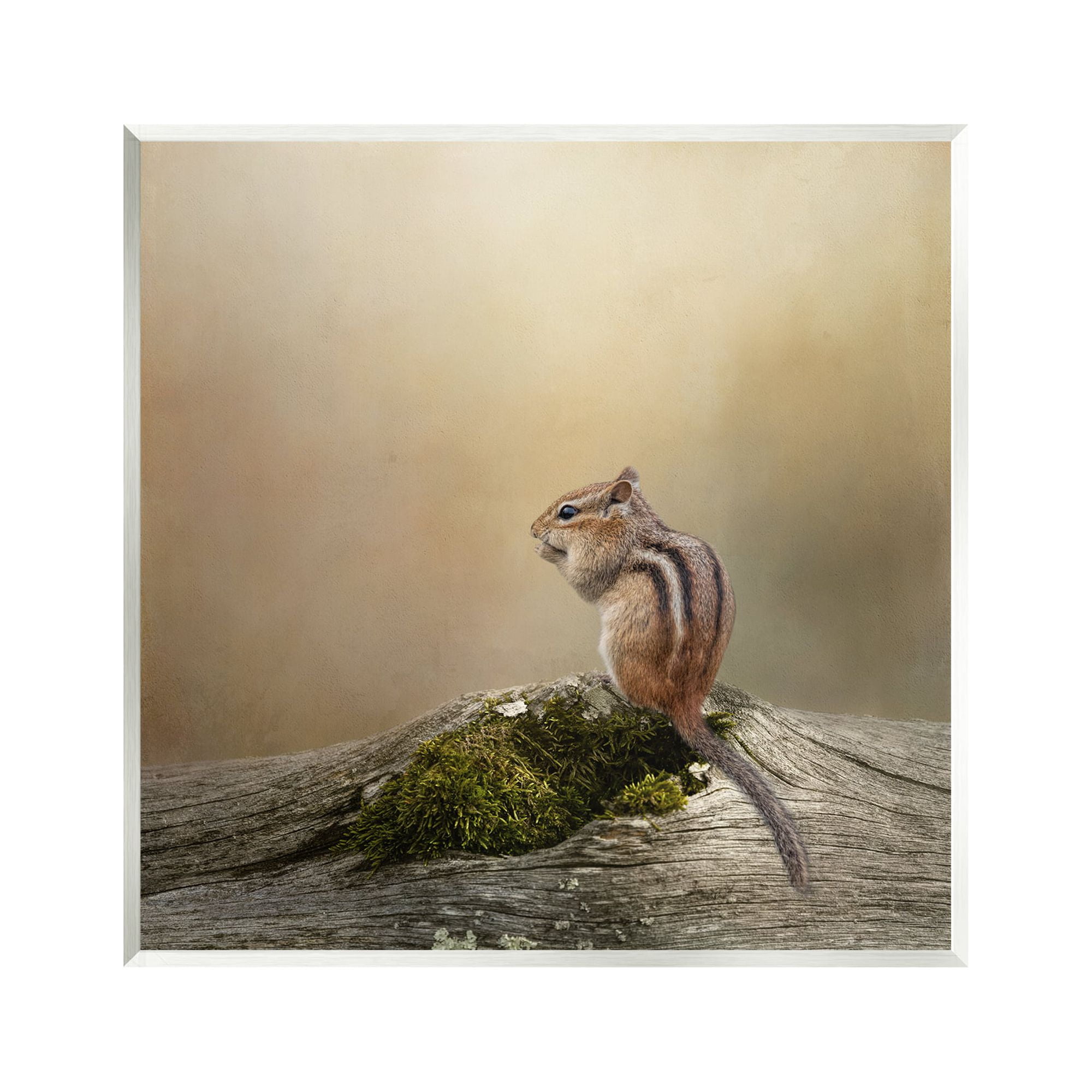 Stupell Chipmunk Peaceful Woodland Nature Animals & Insects Photography ...
