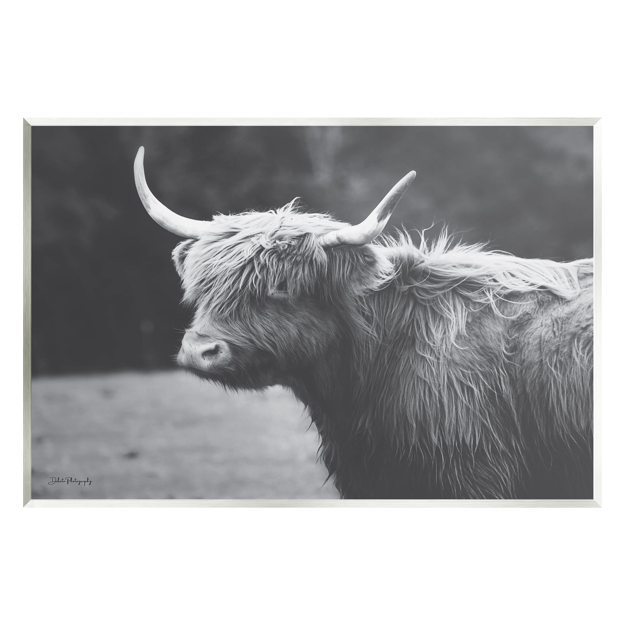 Stupell Country Cattle Highland Farm Animal Animals & Insects ...