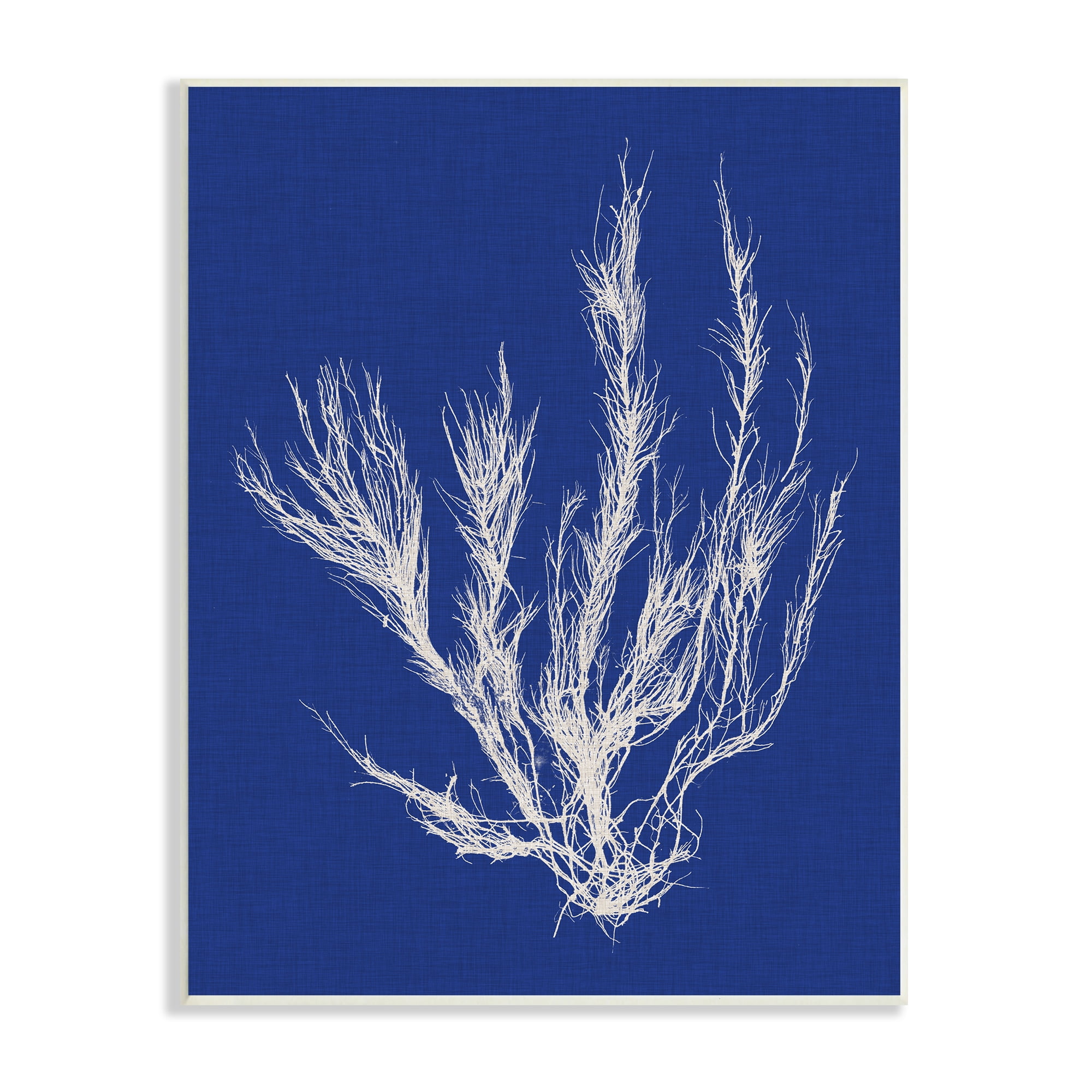 Stupell Home Dcor Coral Seaweed Wood Plaque - 13x19 inches - Walmart.com