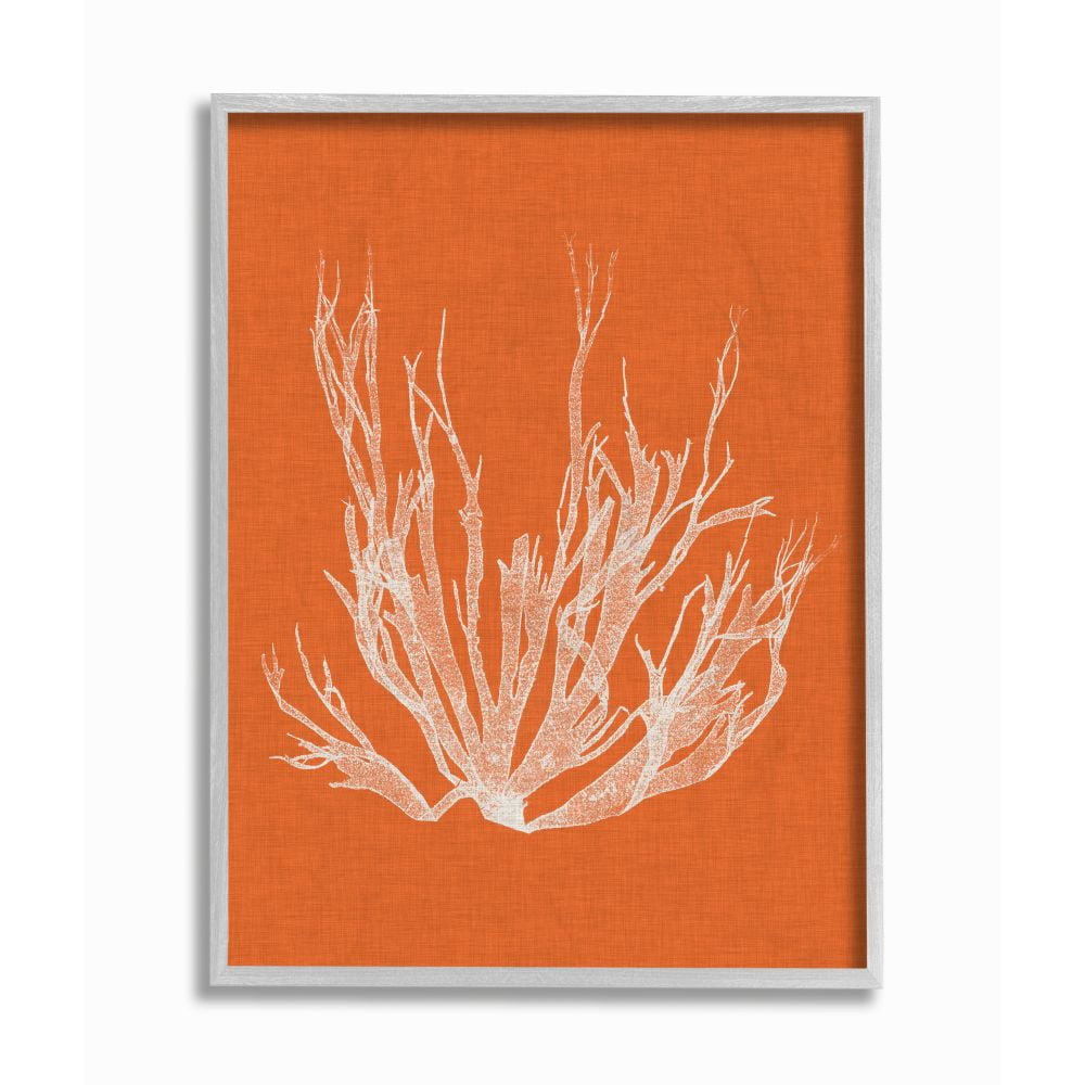 Stupell Home Décor Industries Coral Seaweed Orange White Beach Design ...