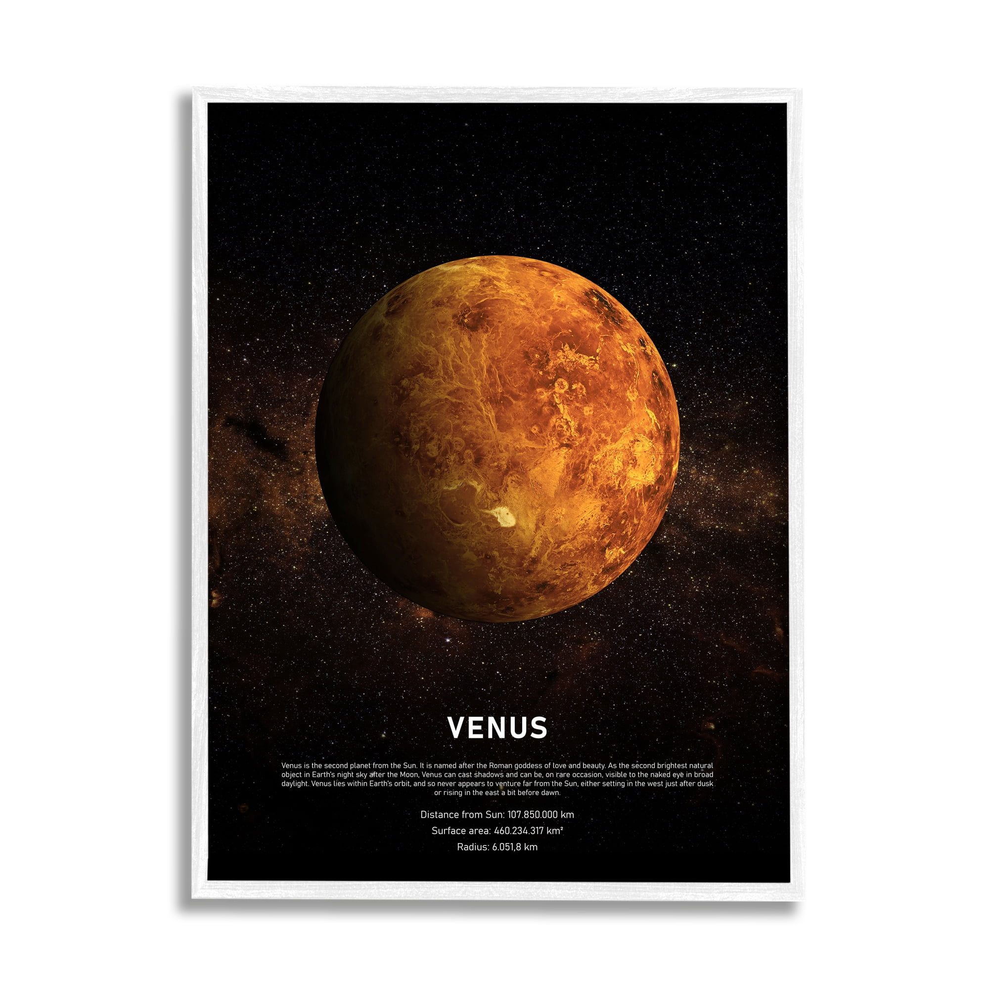 Stupell Home Dcor Venus Planet Infographic Wall Art - 24x30 - Walmart.com