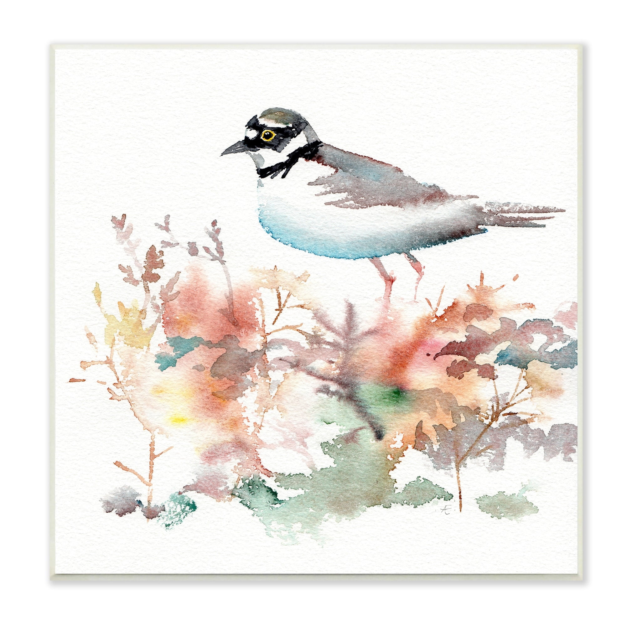 Stupell Indtries Little Ringed Plover Bird in Country Wildflower Field ...