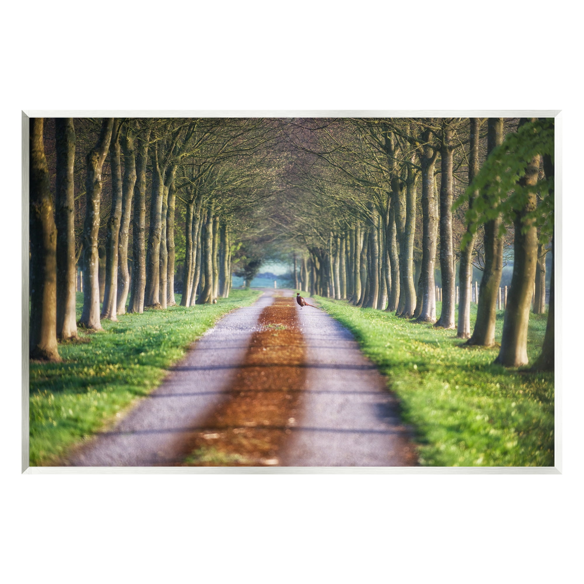 Stupell Industries Aligned Trees Along Orchard Path Nature Tunnel ...