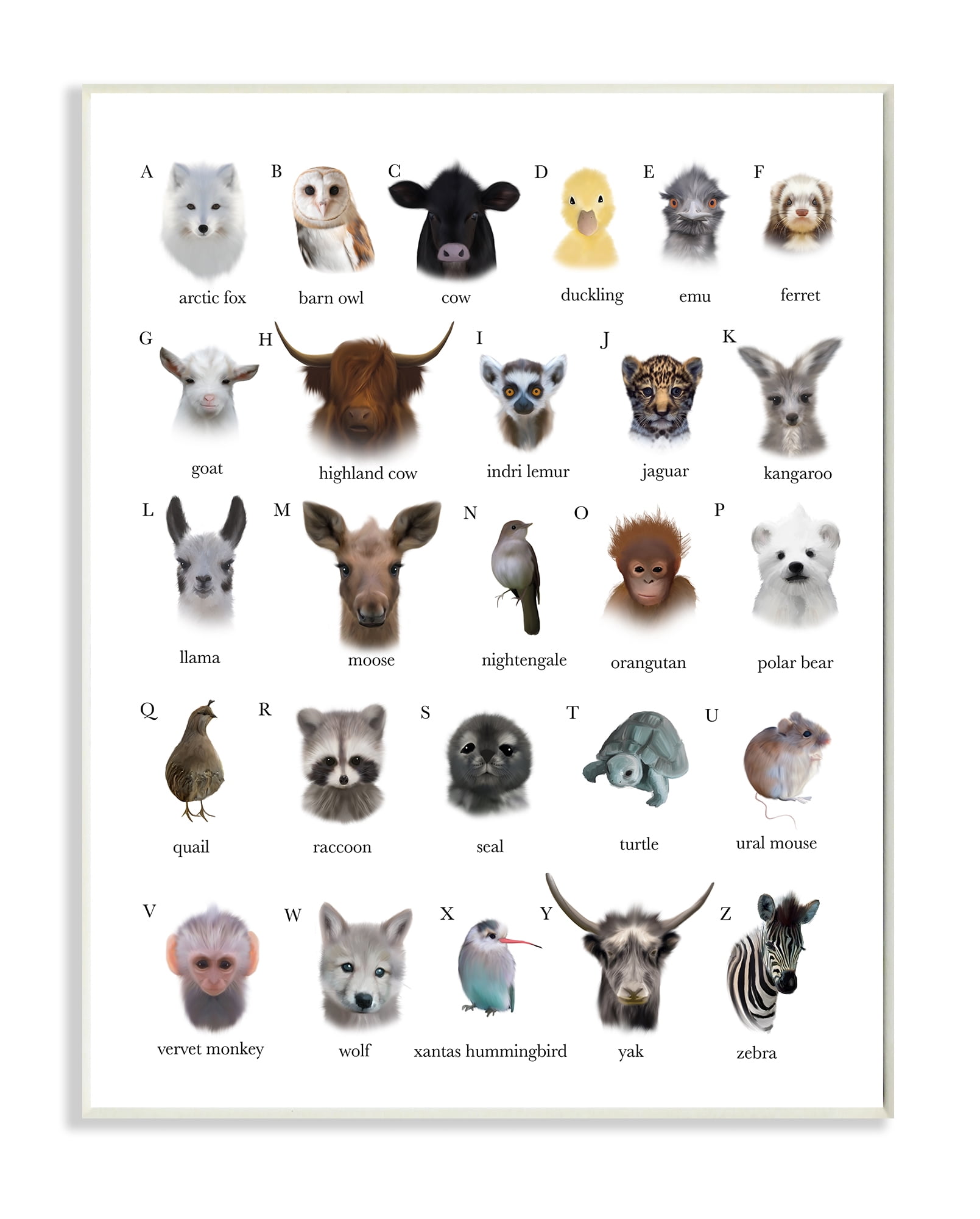 Stupell Industries Alphabet Chart of Wild Animals over White Wall ...