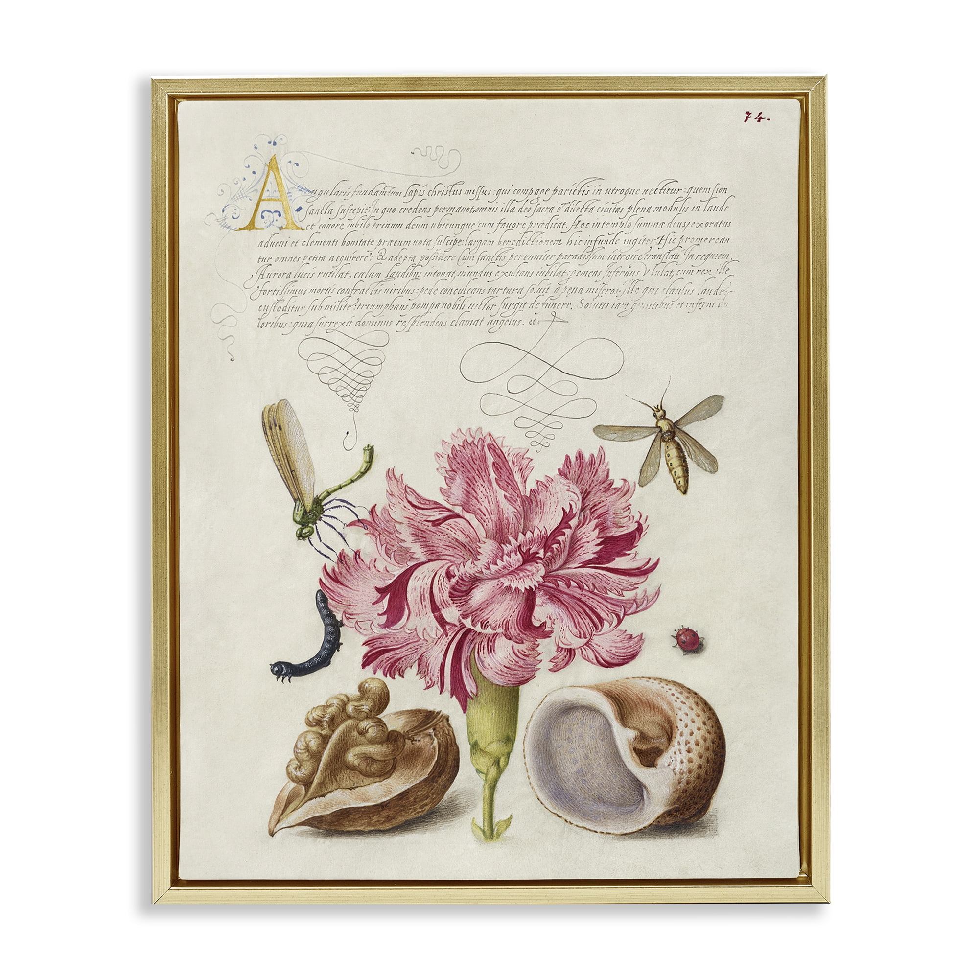 Stupell Industries Antique Flower & Snails Text & Numbers Painting Gold ...